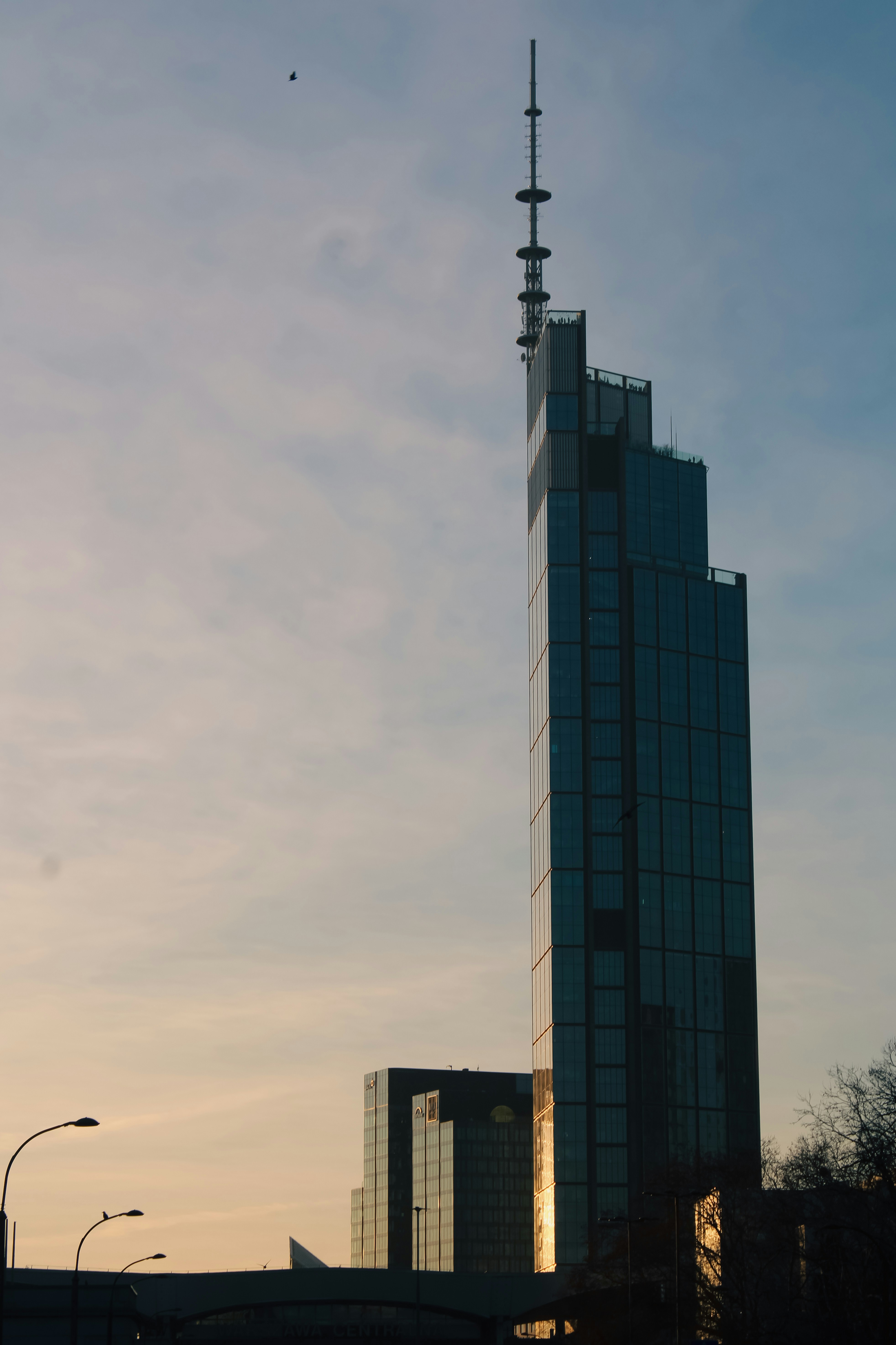 Skyline Sentinel: A Tower Reaching Toward the Dusk