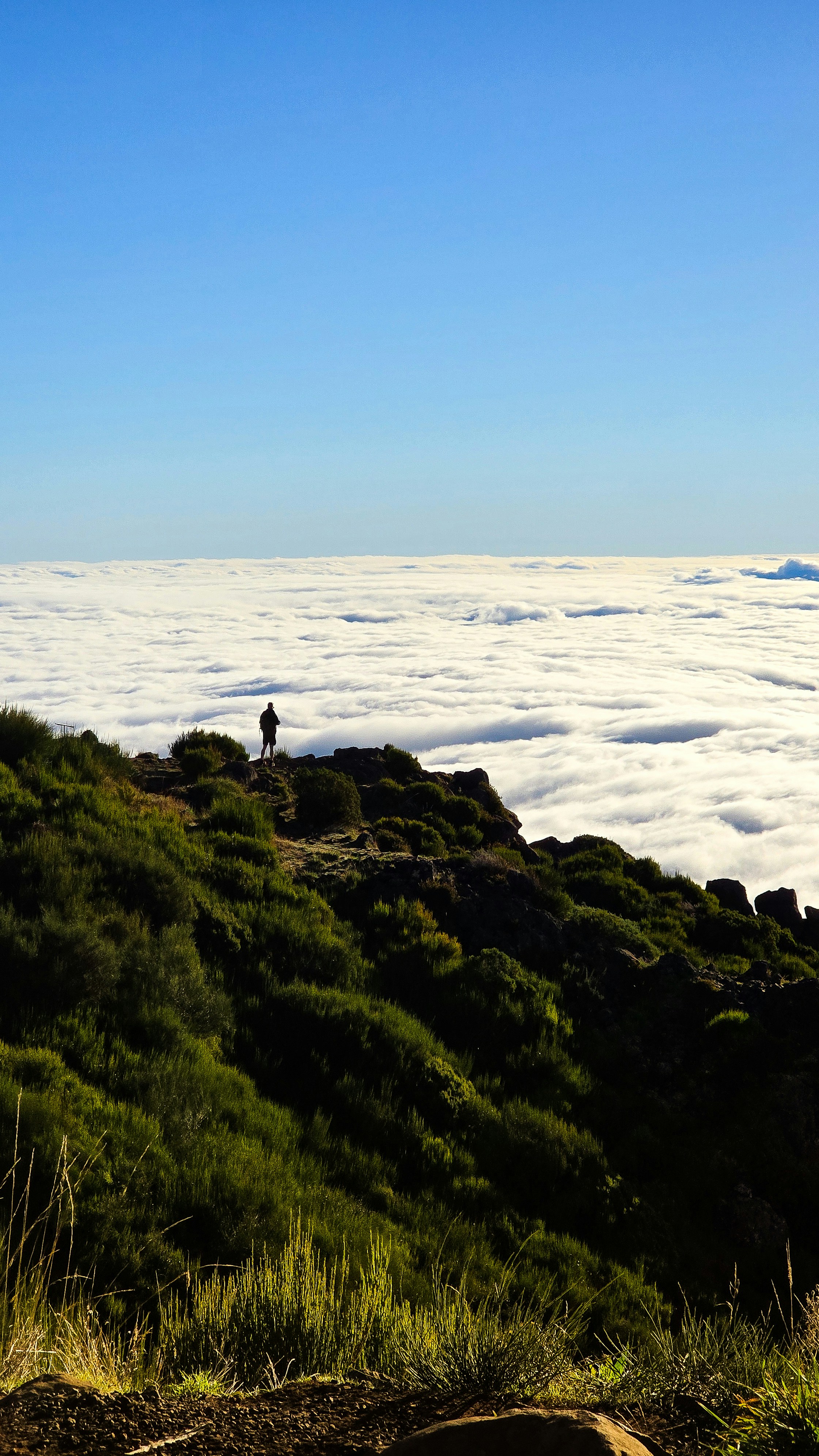 Solo Traveler Amid Ocean of Clouds from a Cliff Edge