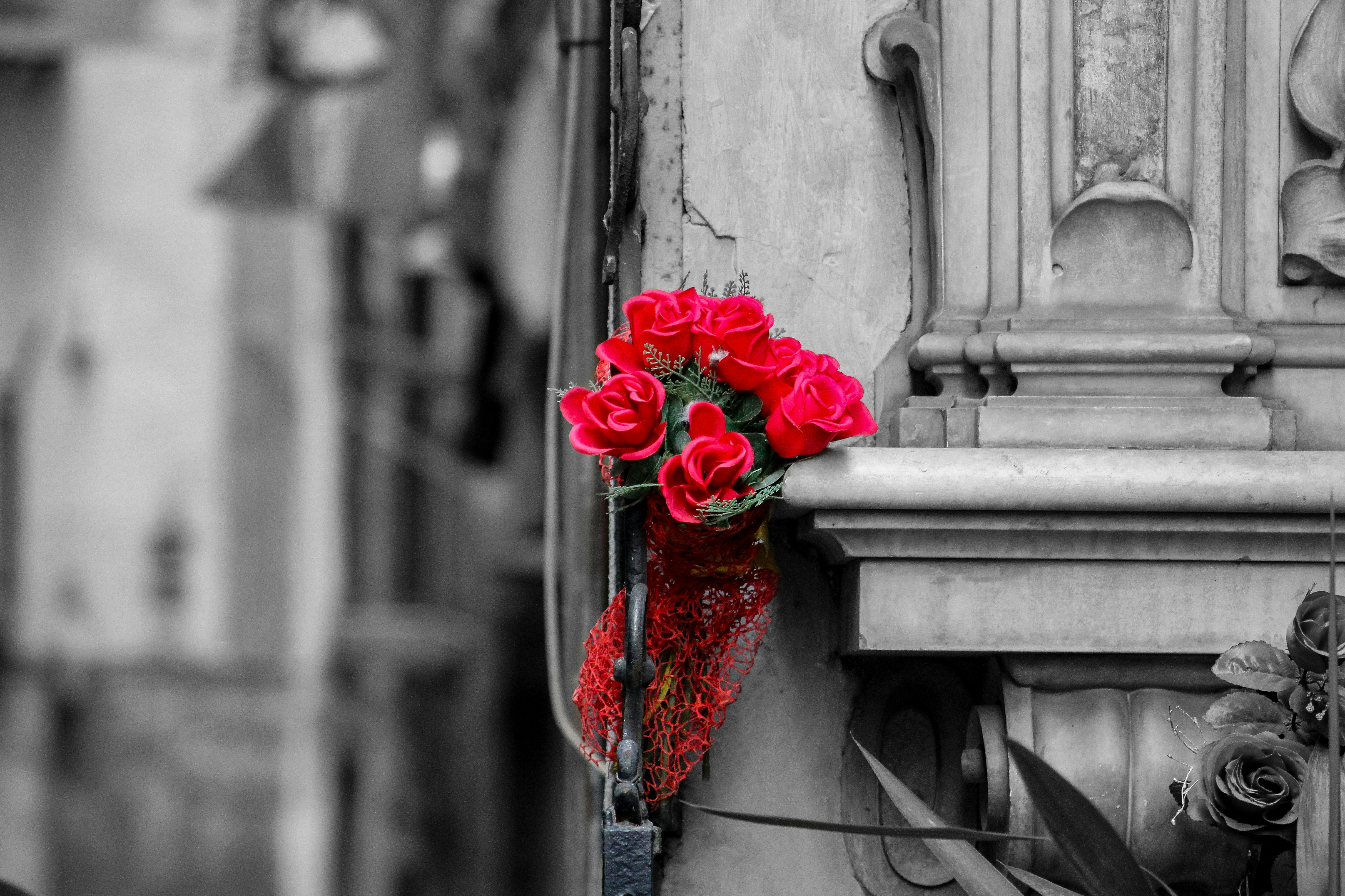 Crimson Bouquet Clutching the Corner of Stone Architecture