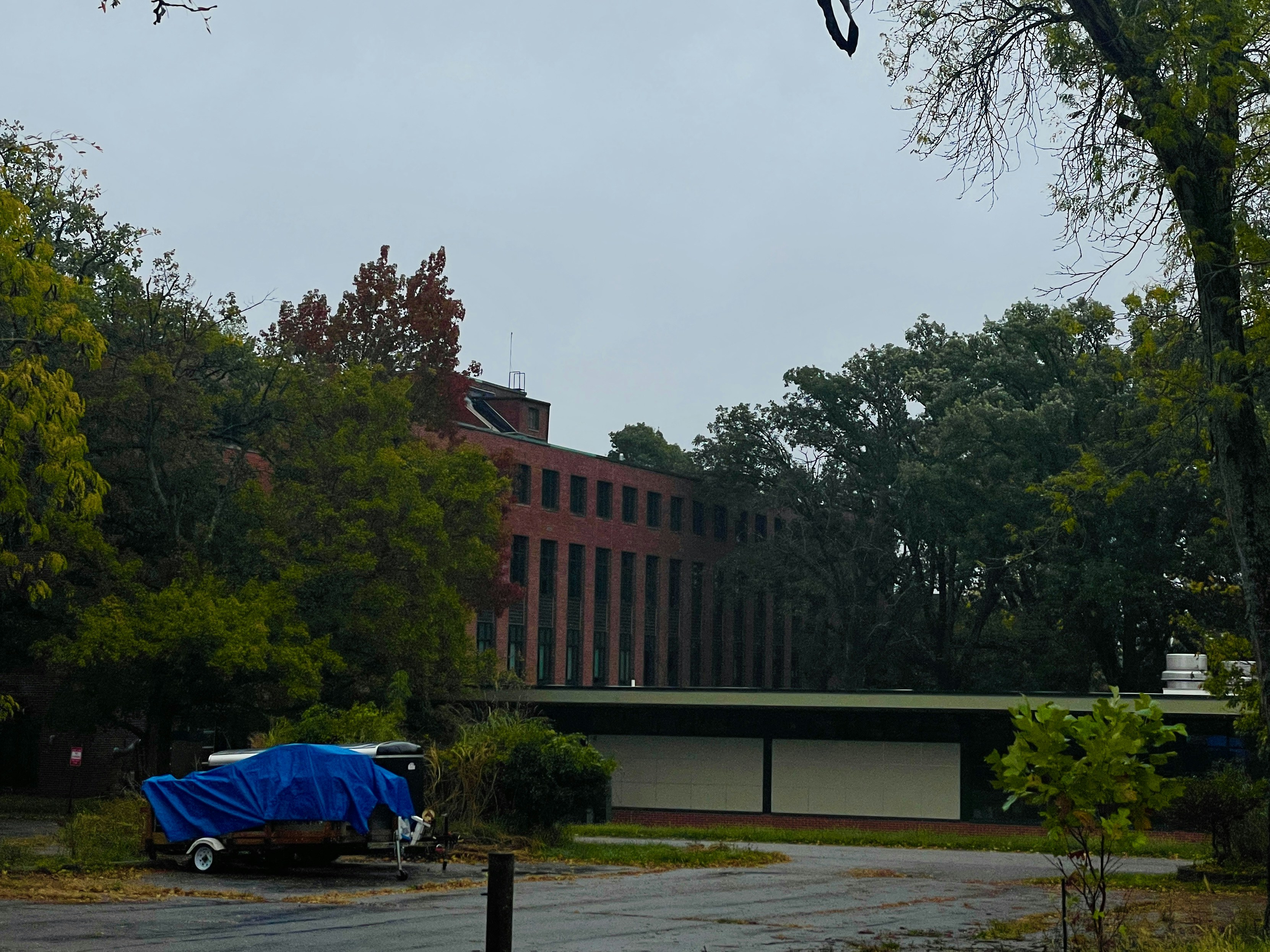 Dormant Campus, Hidden Machinery, Blue Cover under a Quiet Tree Canopy