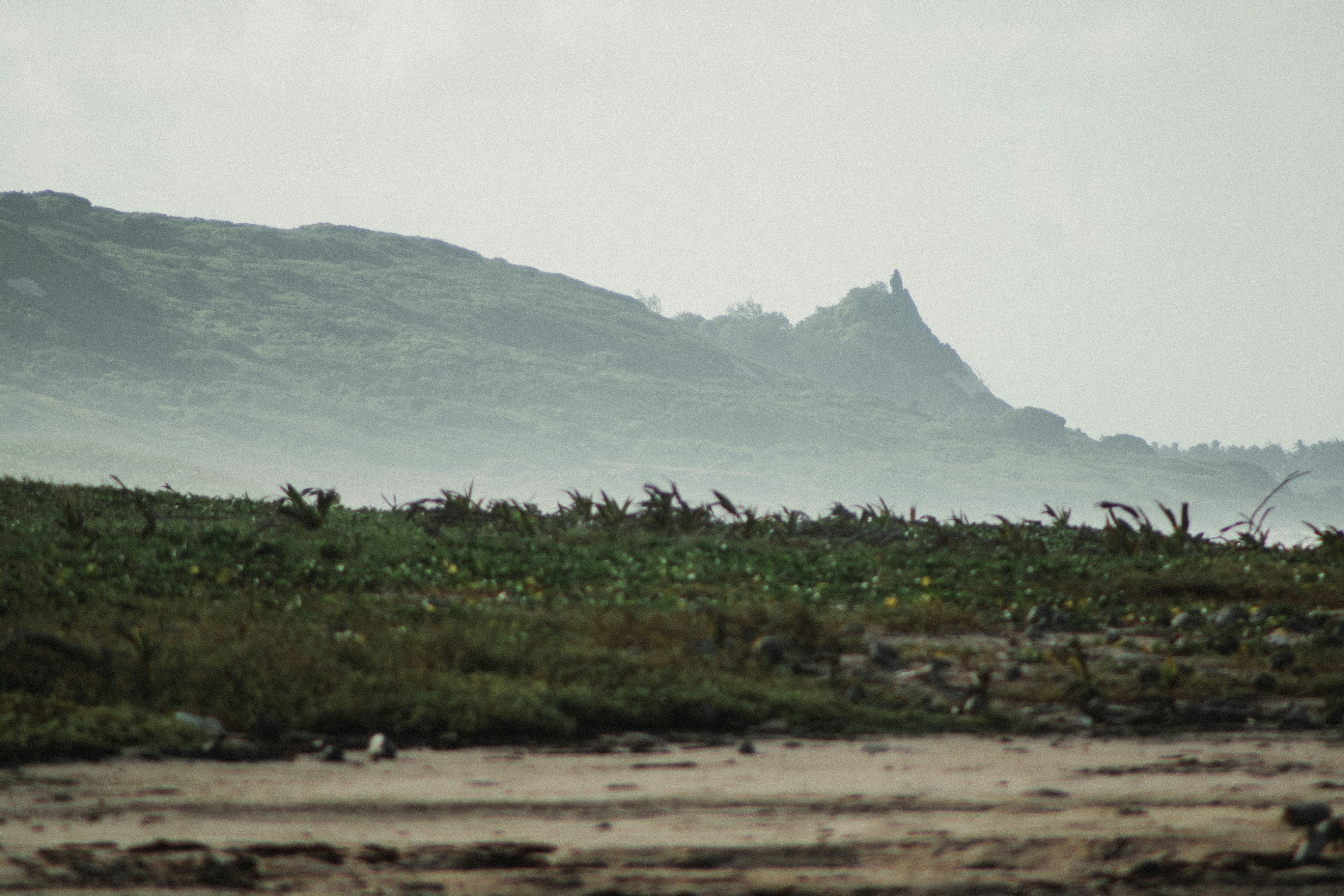 Misty shoreline silhouettes beneath a distant rocky promontory