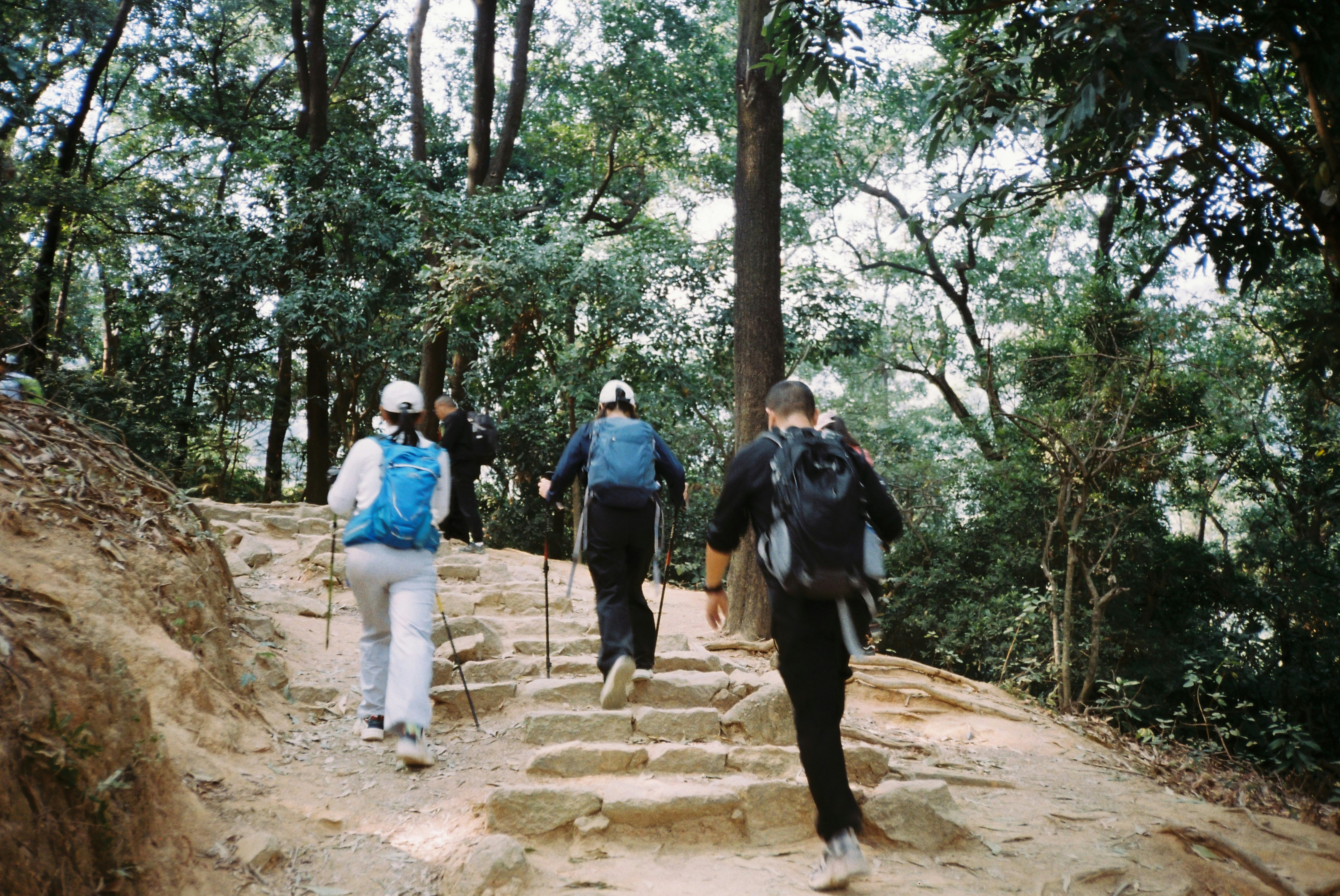 Three hikers ascend a stone path in a forest.