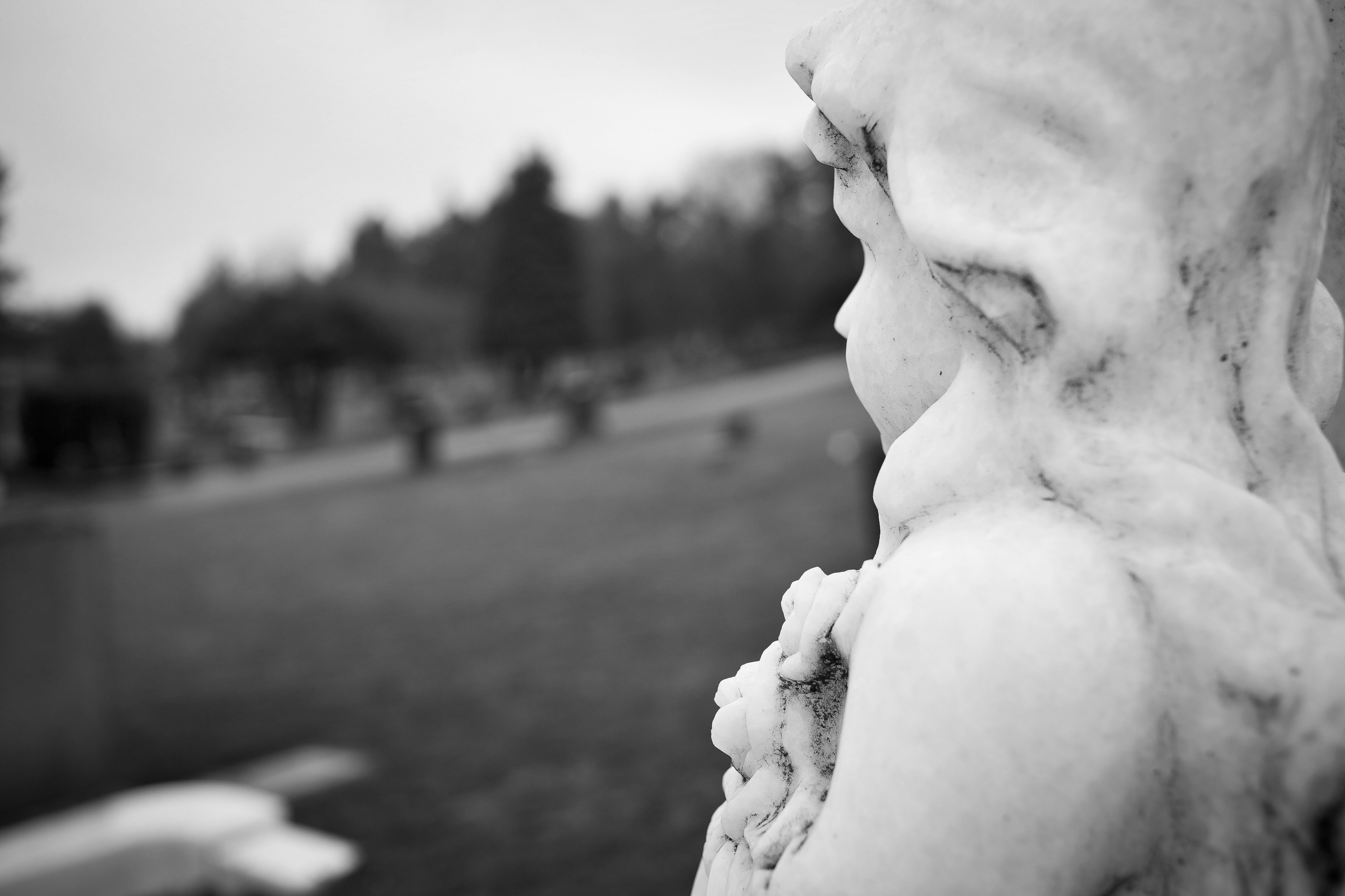 Whispering Marble: Profile of a Solitary Statue in a Quiet Park