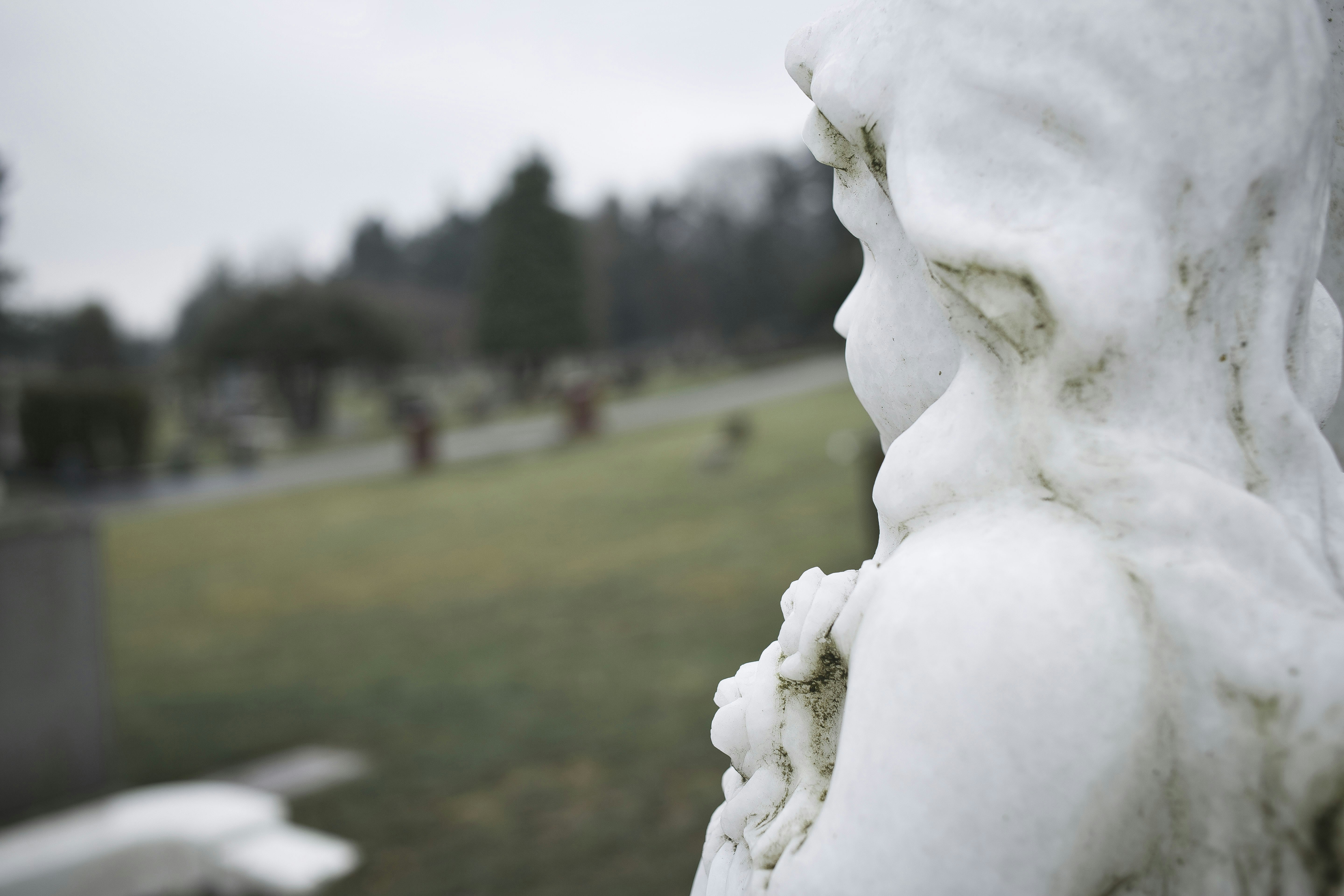 Close-Up of a Weathered Statue with a Park Setting Fading in the Background