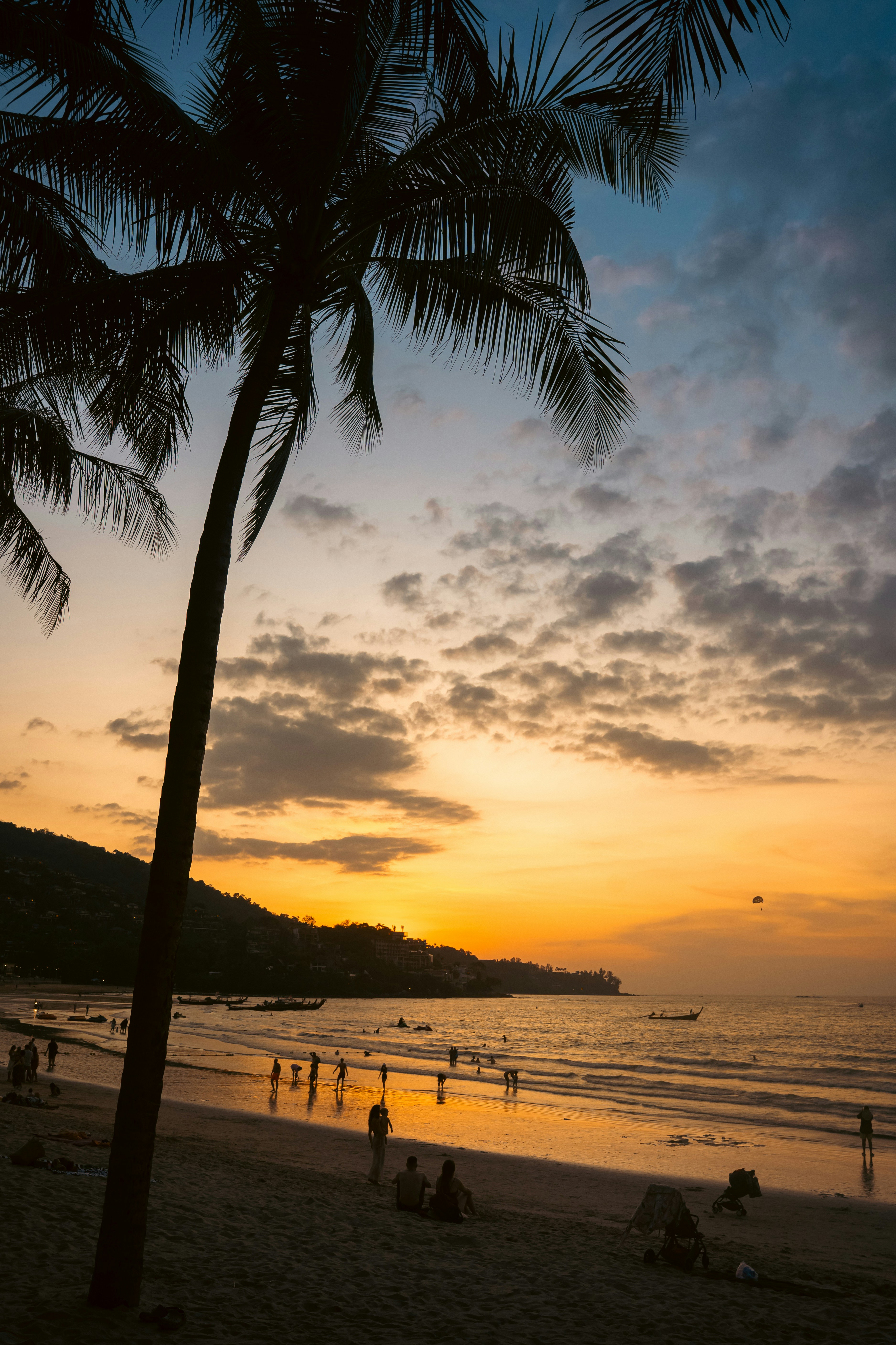 Evening Palm Shadow Over a Lively Beach