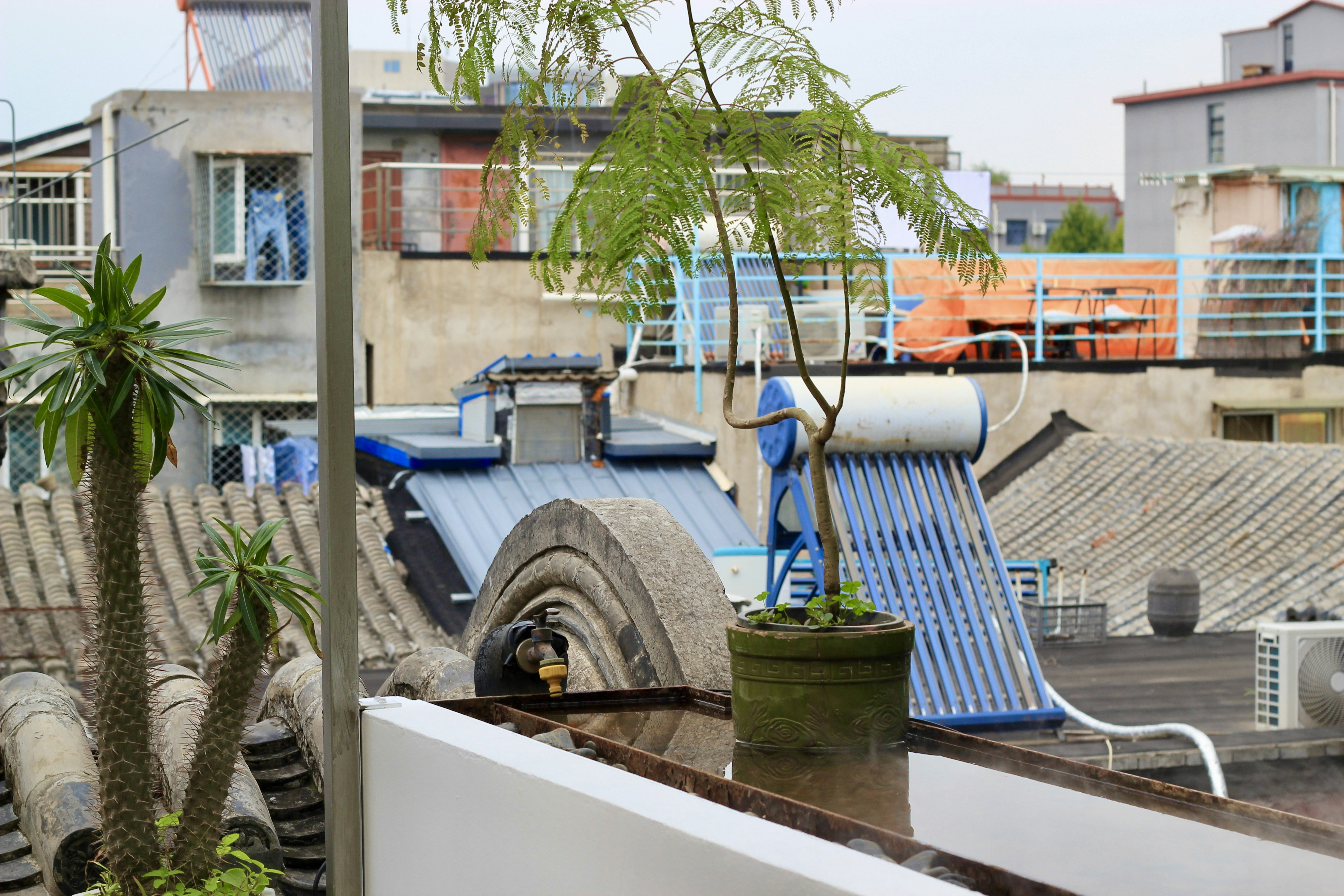 Rooftop Playground: A compact urban terrace with a curious potted tree and playful blue playground equipment