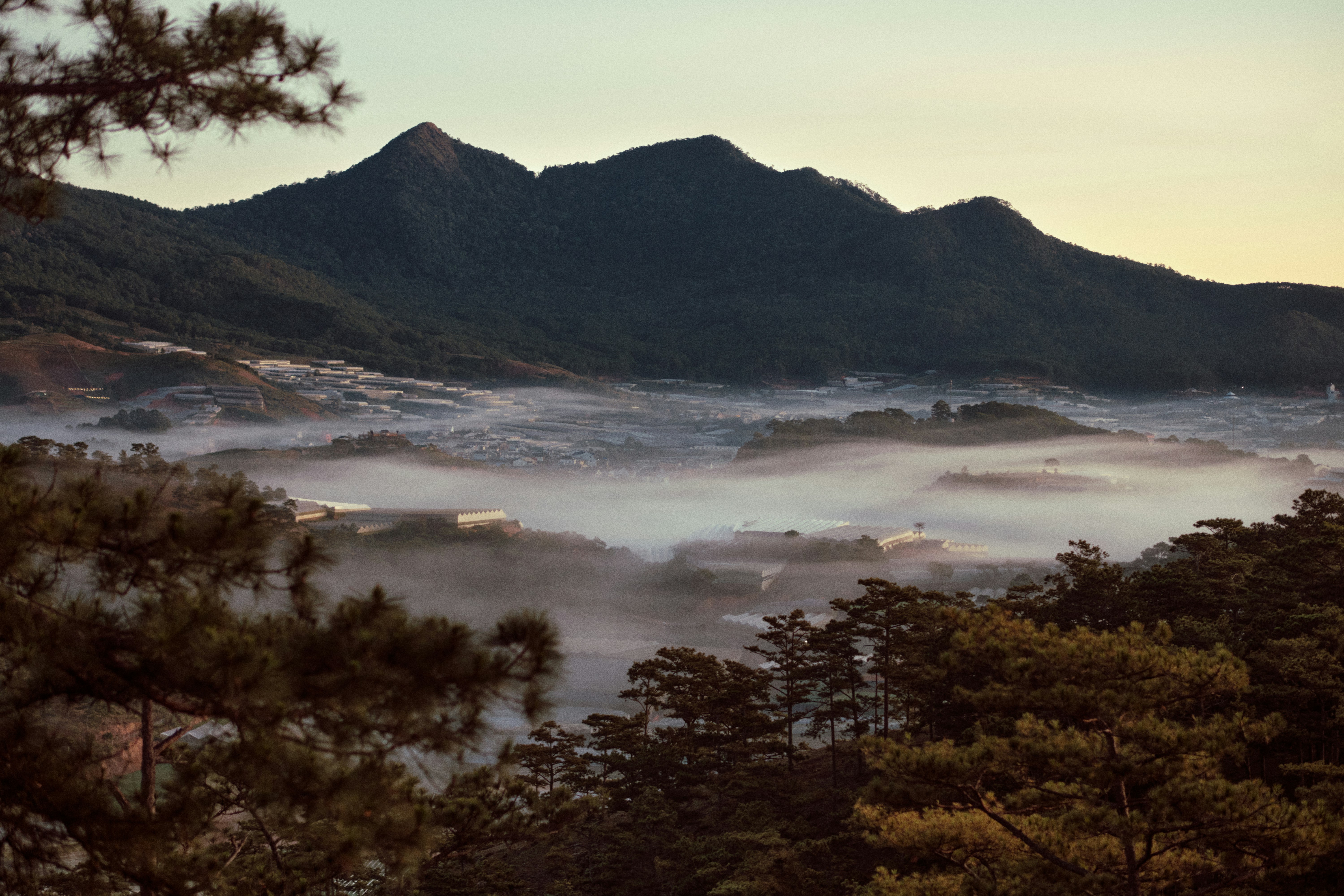 Mist over the Valley: Dawn Veil on the Ridge
