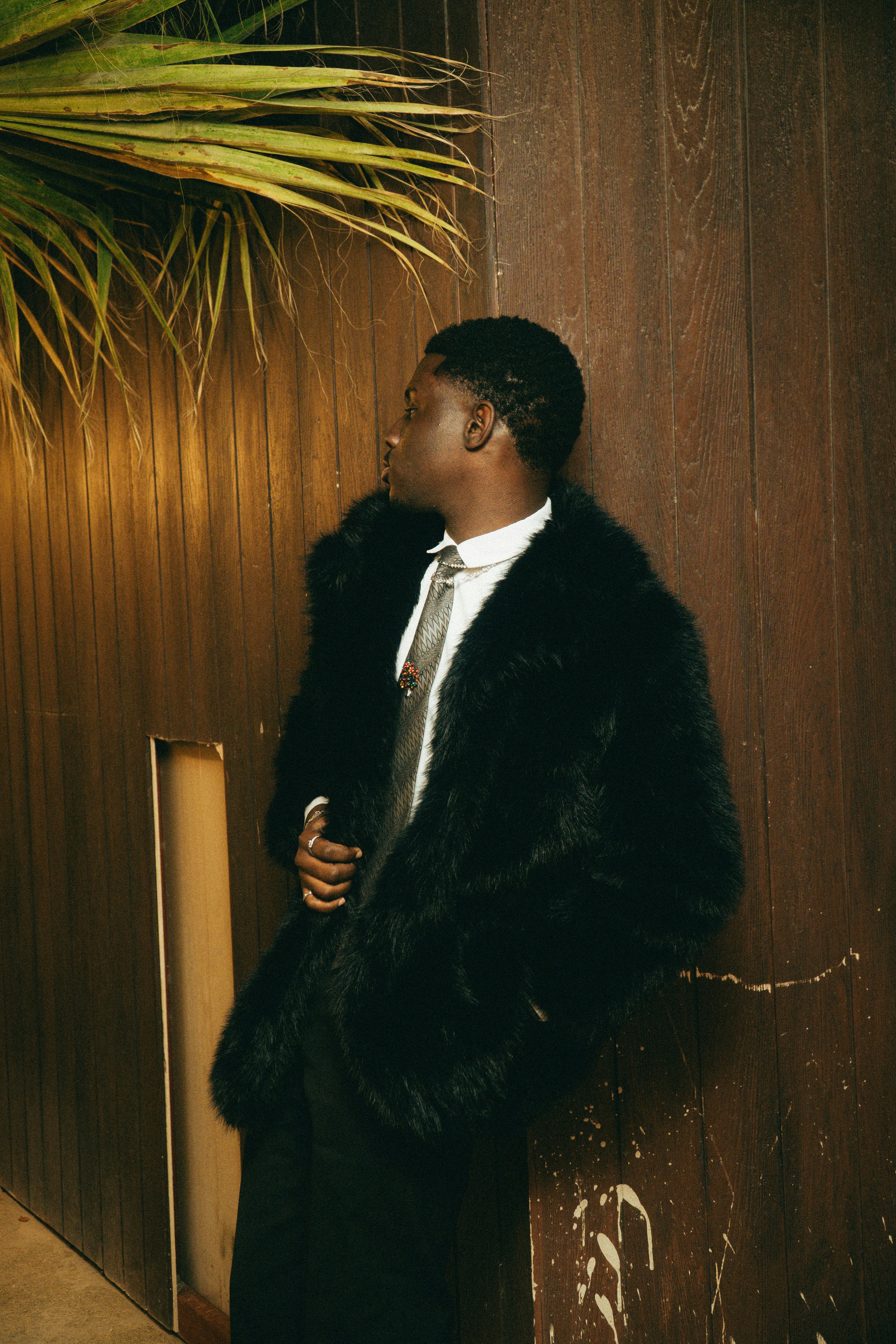 Midnight Muse in a Velvet Coat