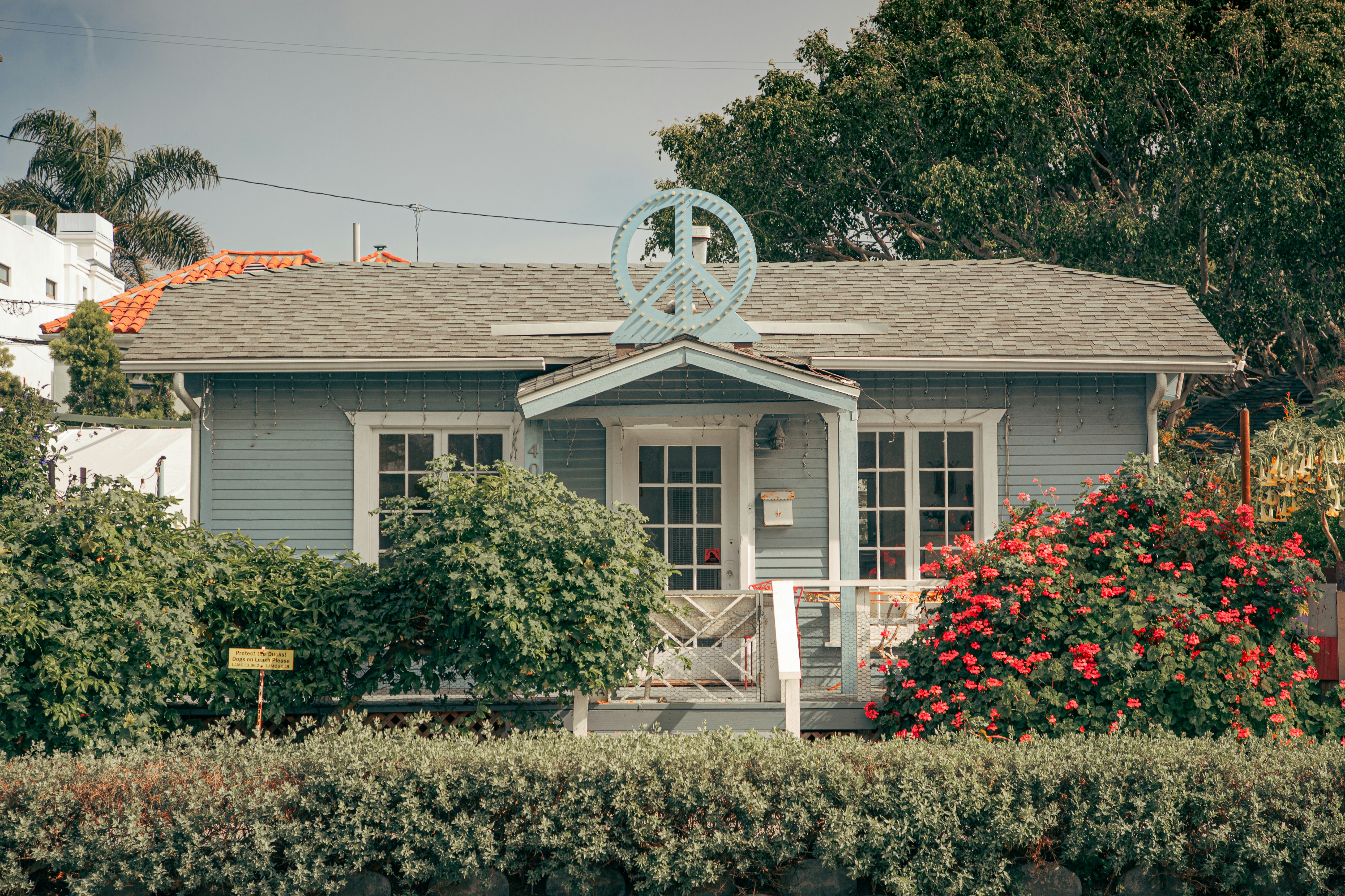 Quiet Harbor of Bluewood: A Small Clipper-Boat House with Rose Bower