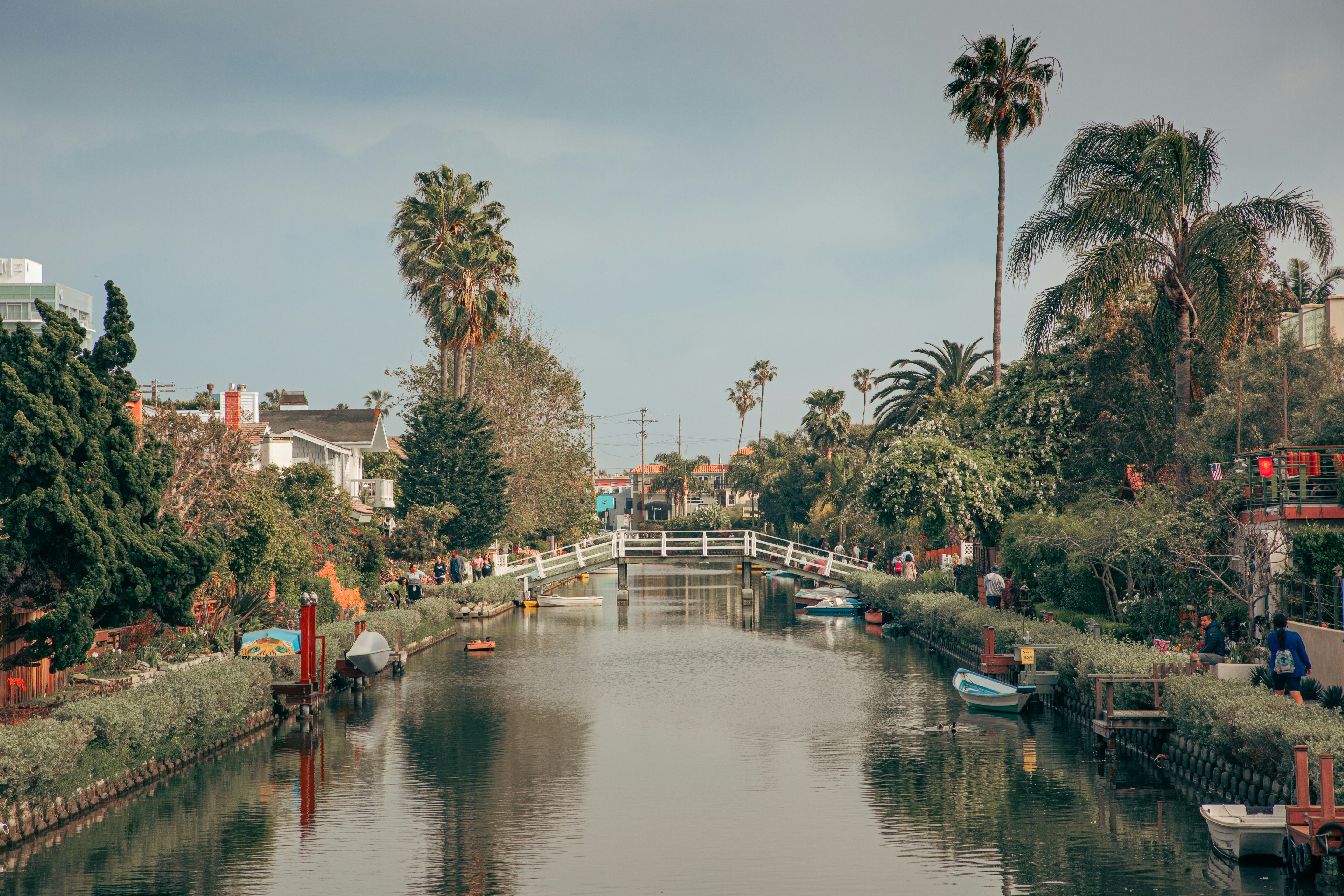 Sunlit Canal Corridor: A Quiet Riverside Slice Between Palm Trees