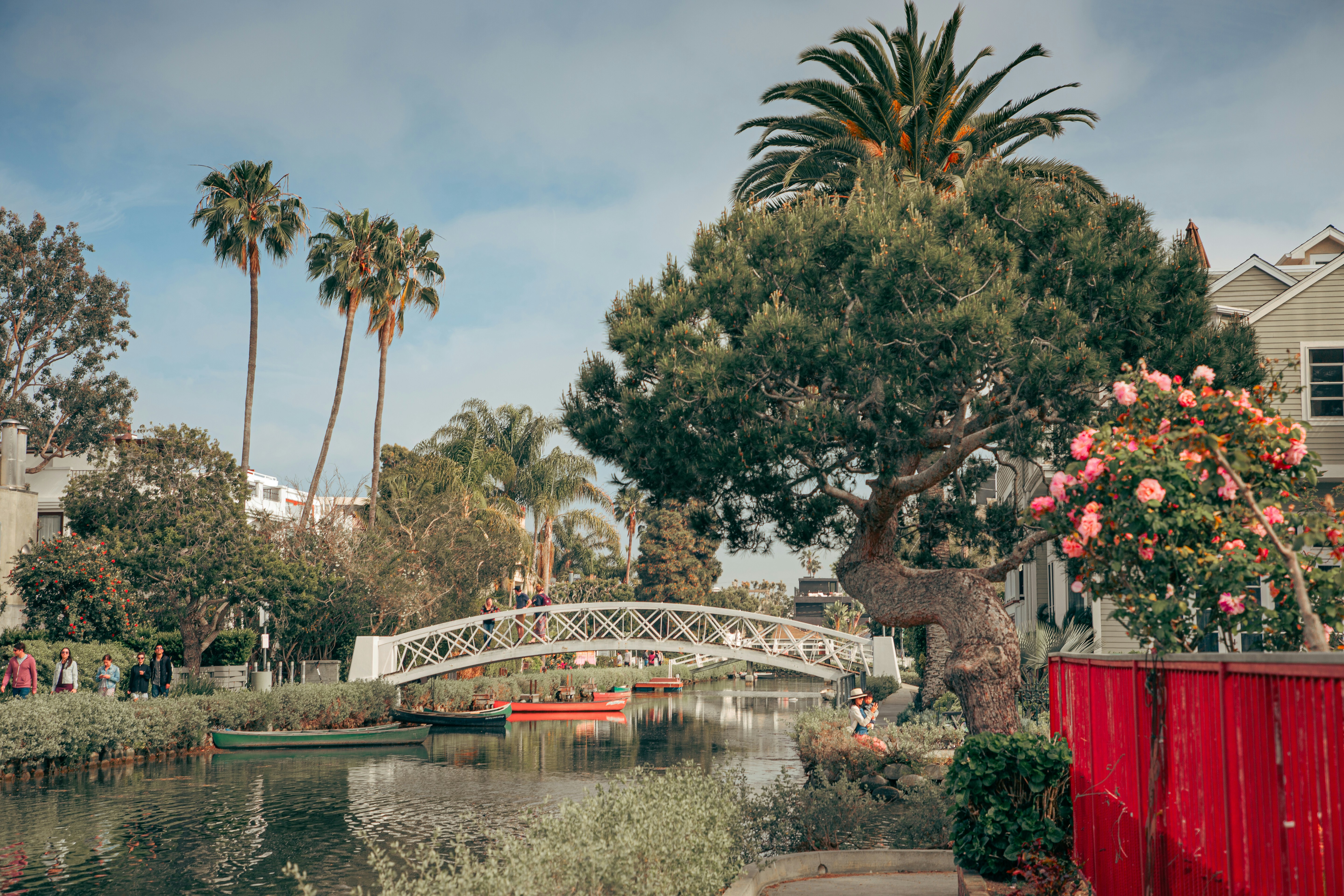Whimsical Riverside Arc: A Quiet Bridge Between Palm Shade and Bloom