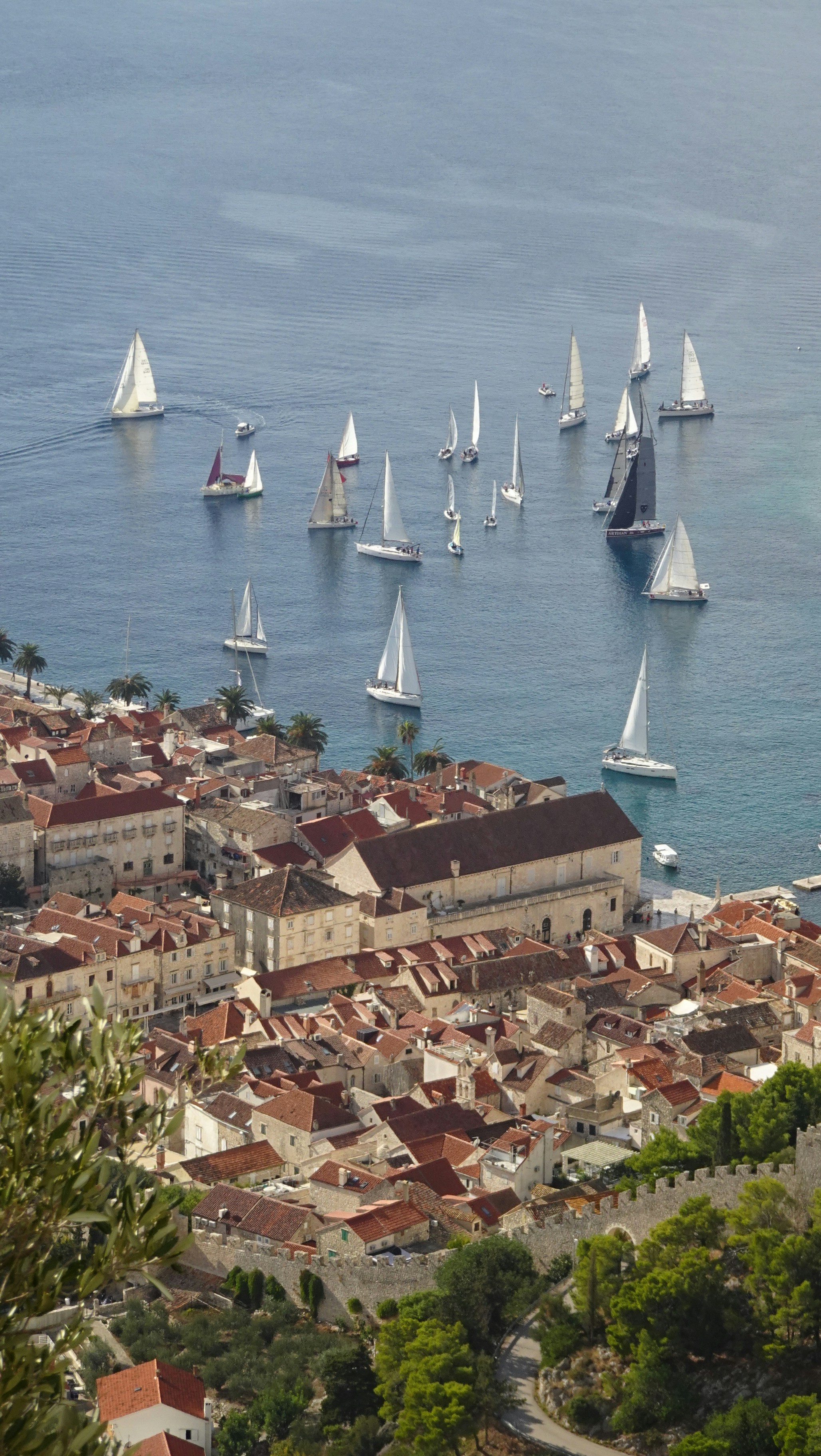 Sailboats race on the blue sea near a coastal town.