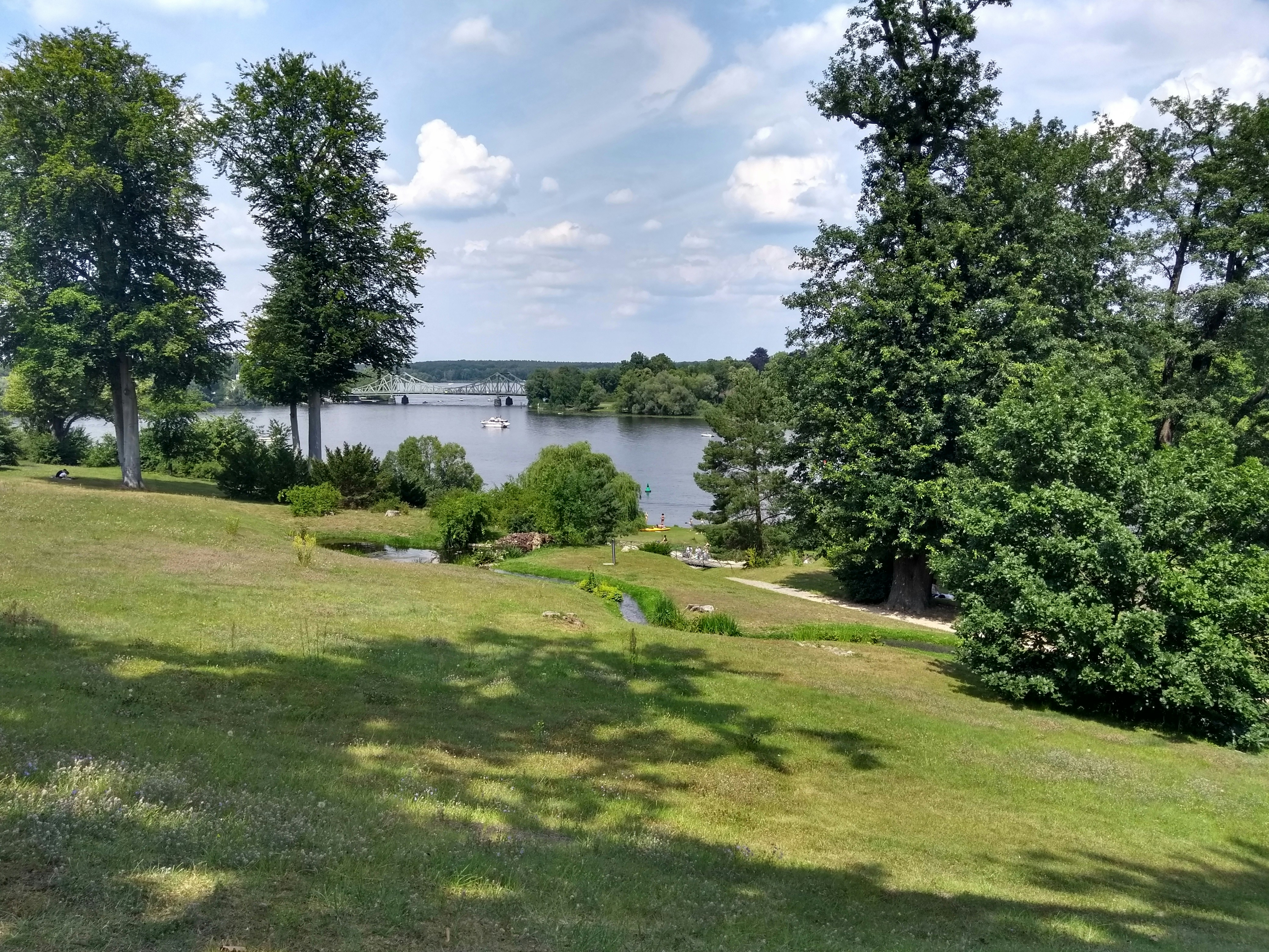 Lush green park with a lake and trees
