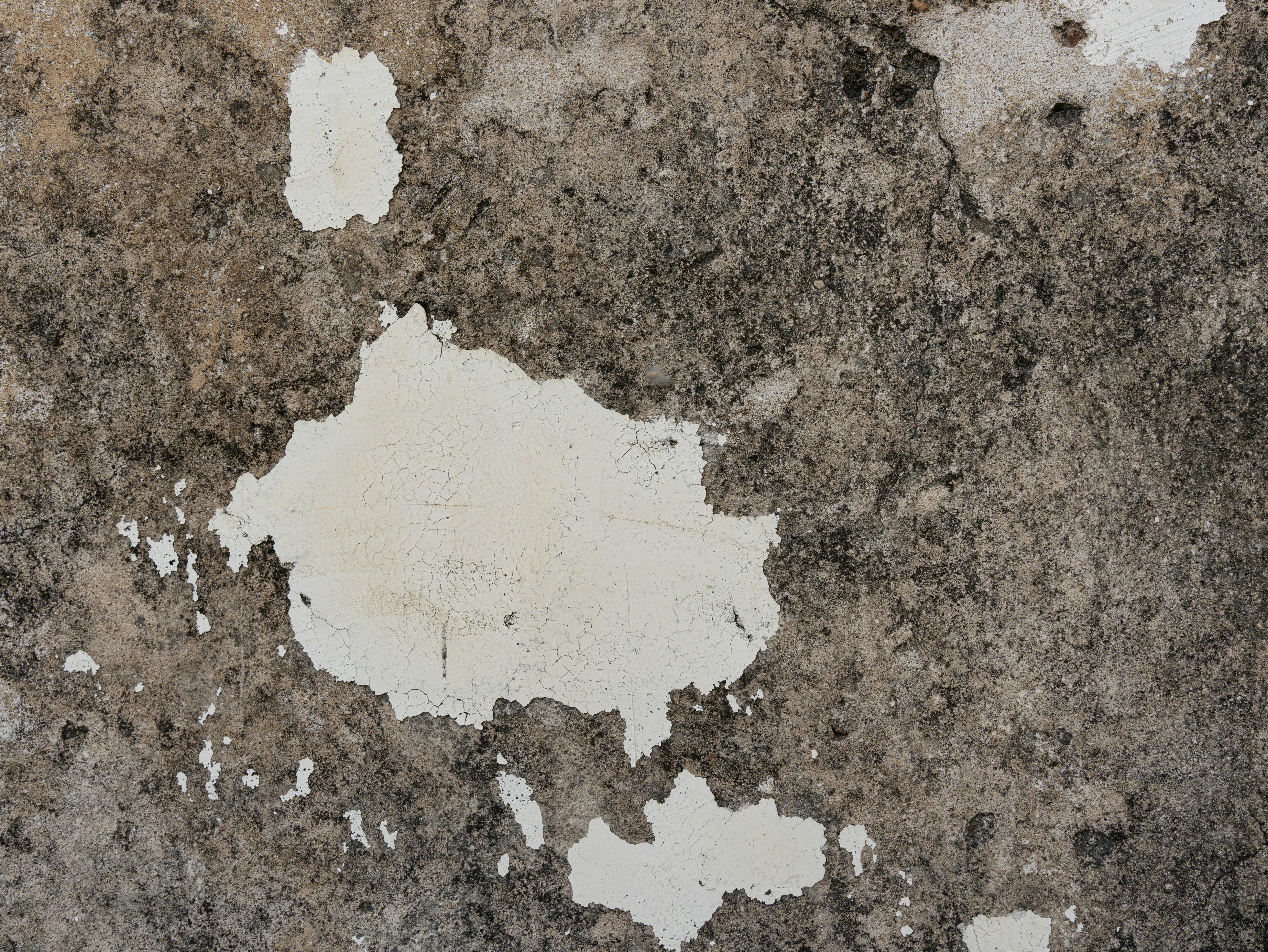 Patchwork of Weathered Plaster: Pale Stucco Trails on a Rough Wall