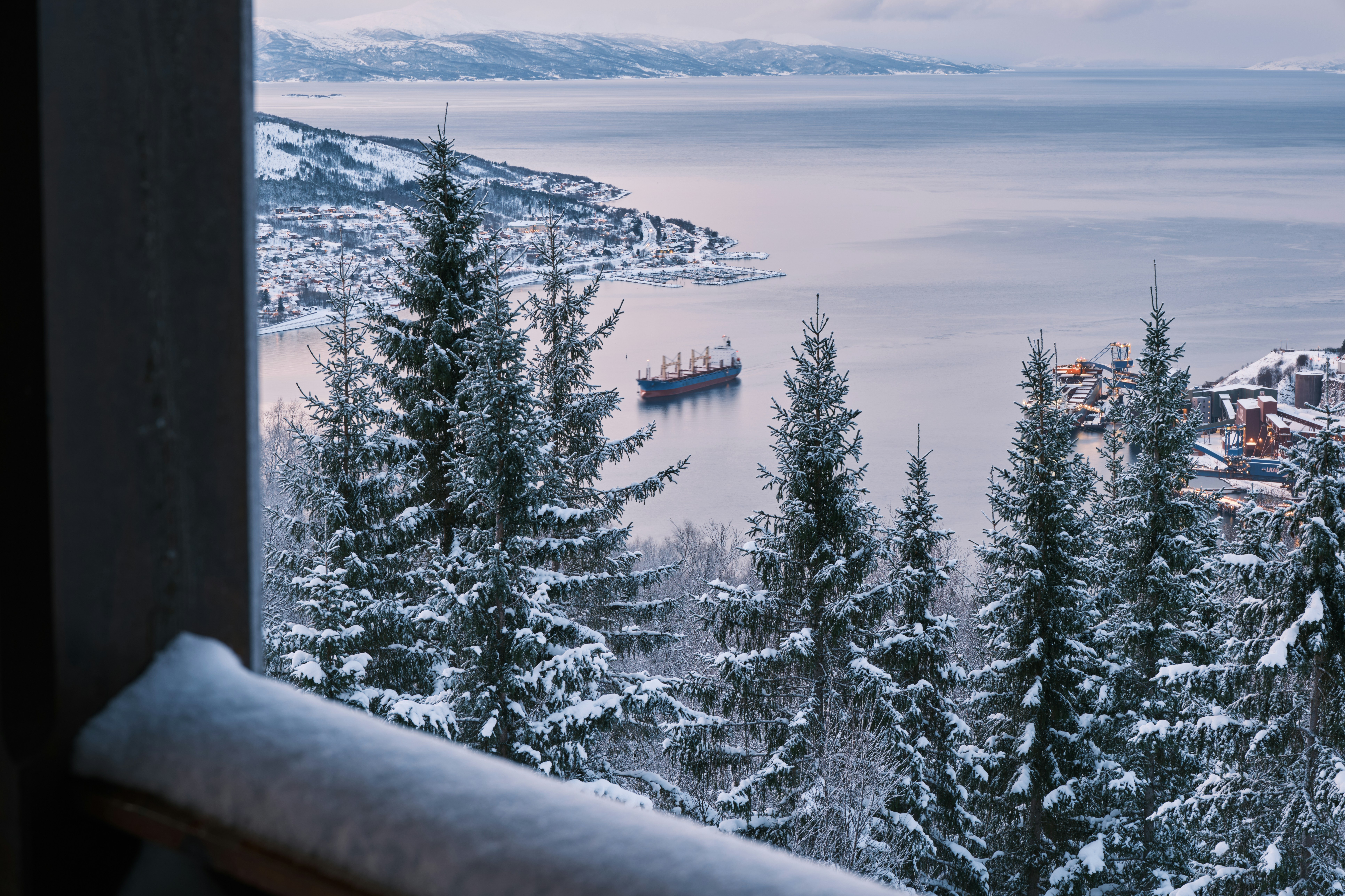 Snowy Window View: Pine Trees Framing a Harbor Landscape