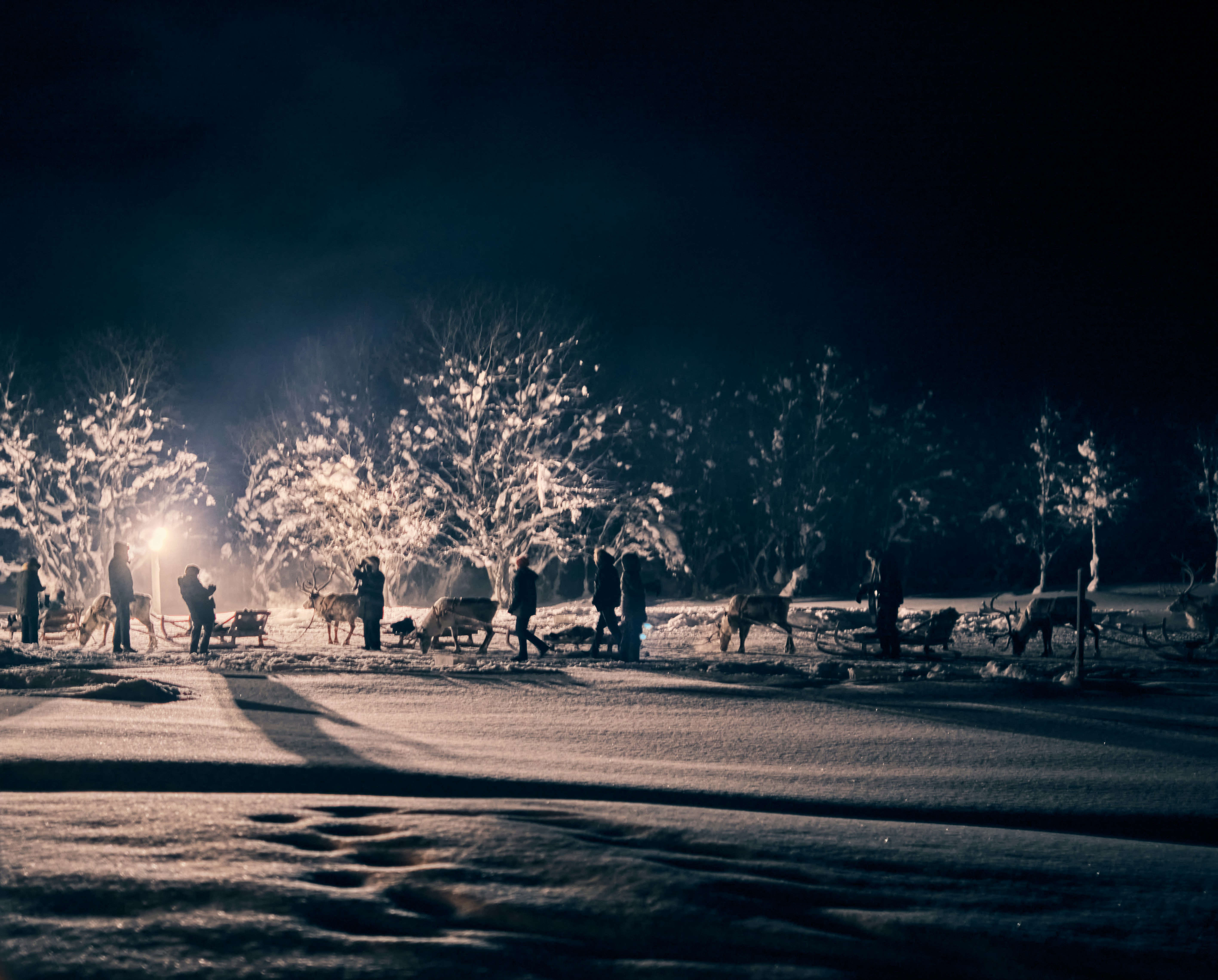 Midnight Snow Parade Under Ambient Streetlight