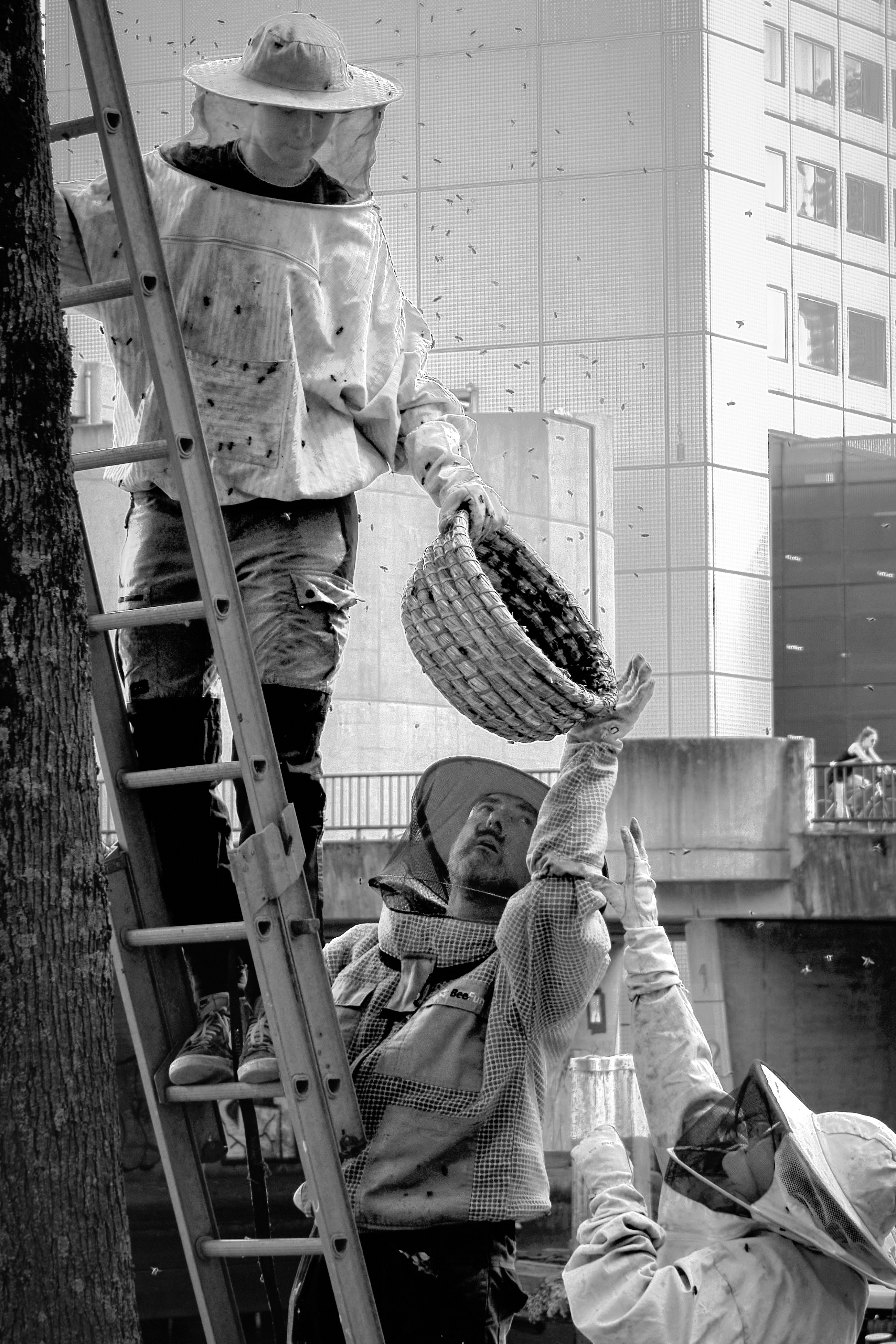 Basket of Diligence: Two Builders Reaching for a Shared Lift