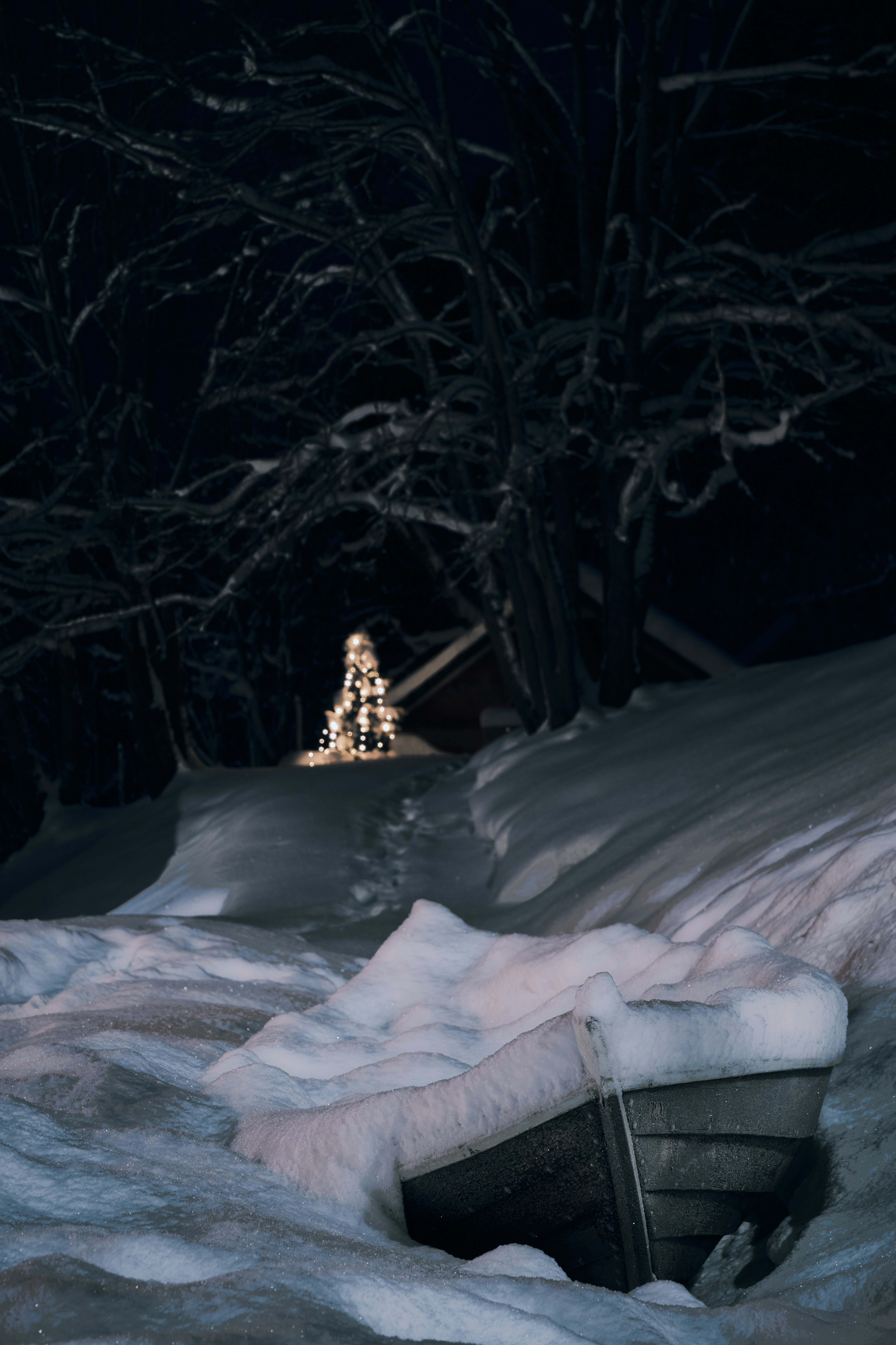 Snowbound Night: The Illuminated Tree Beyond the Boat