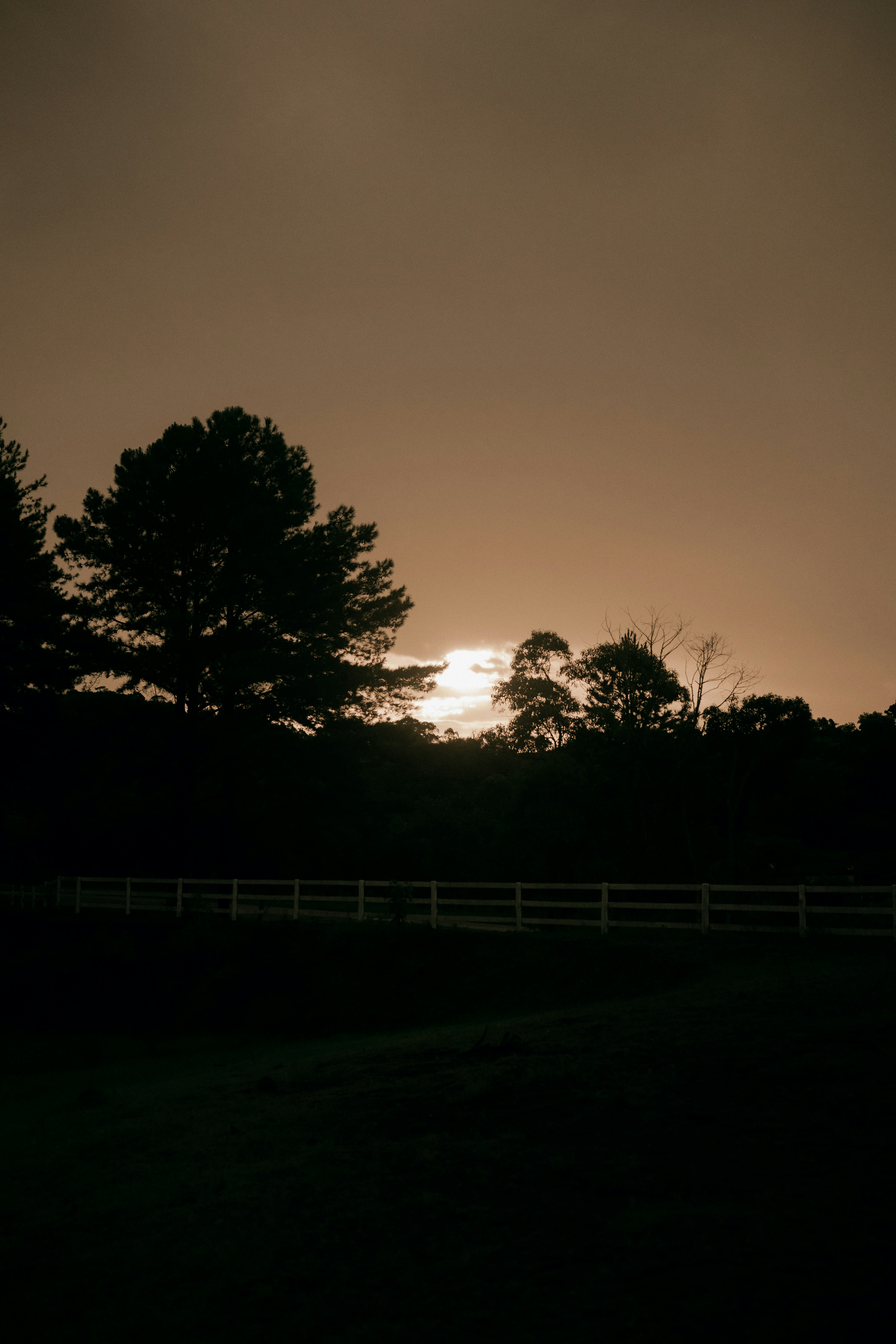 Sunset Silhouette over a Quiet Fence