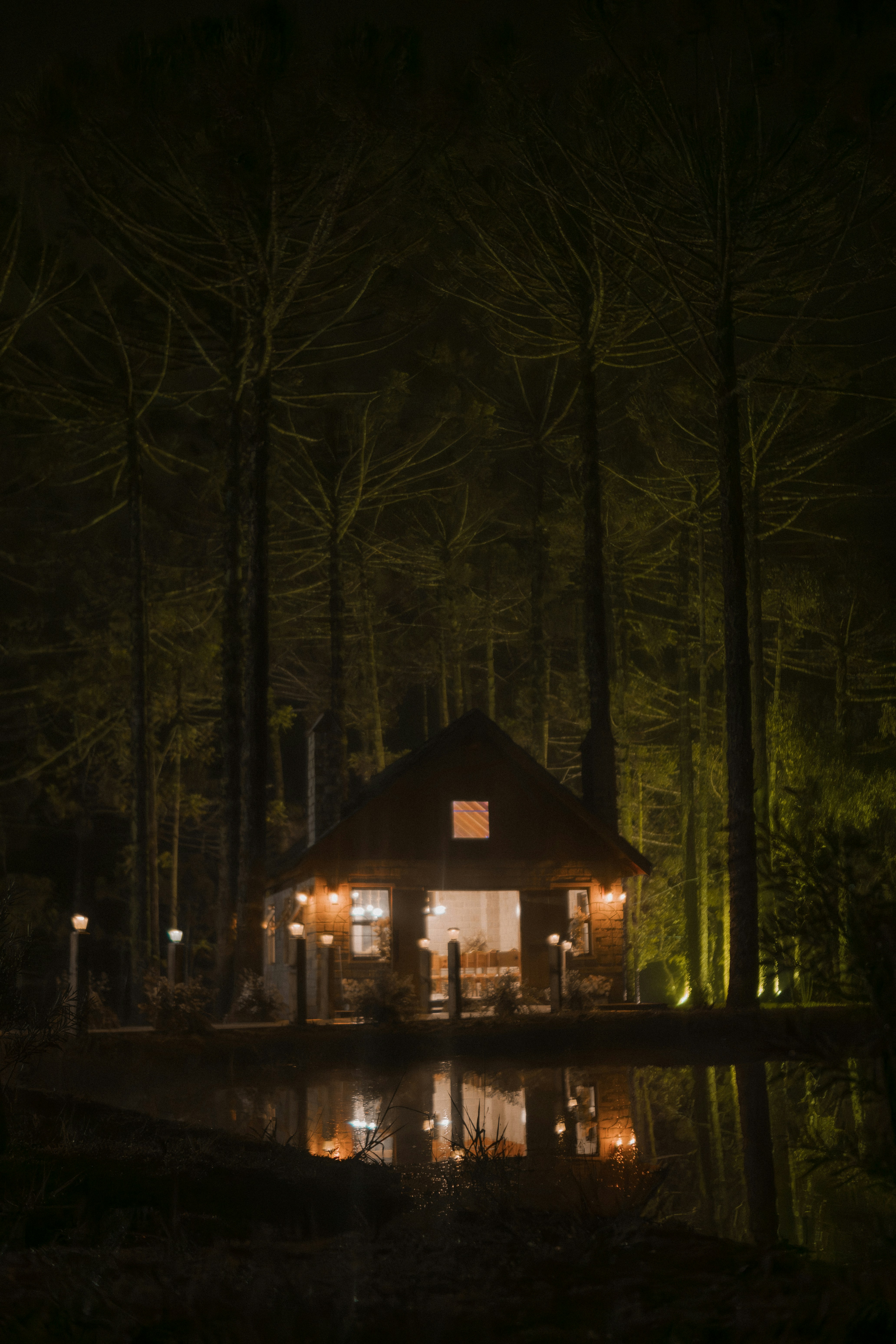 Cottage Lanterns: Nighttime Reflections in a Quiet Forest