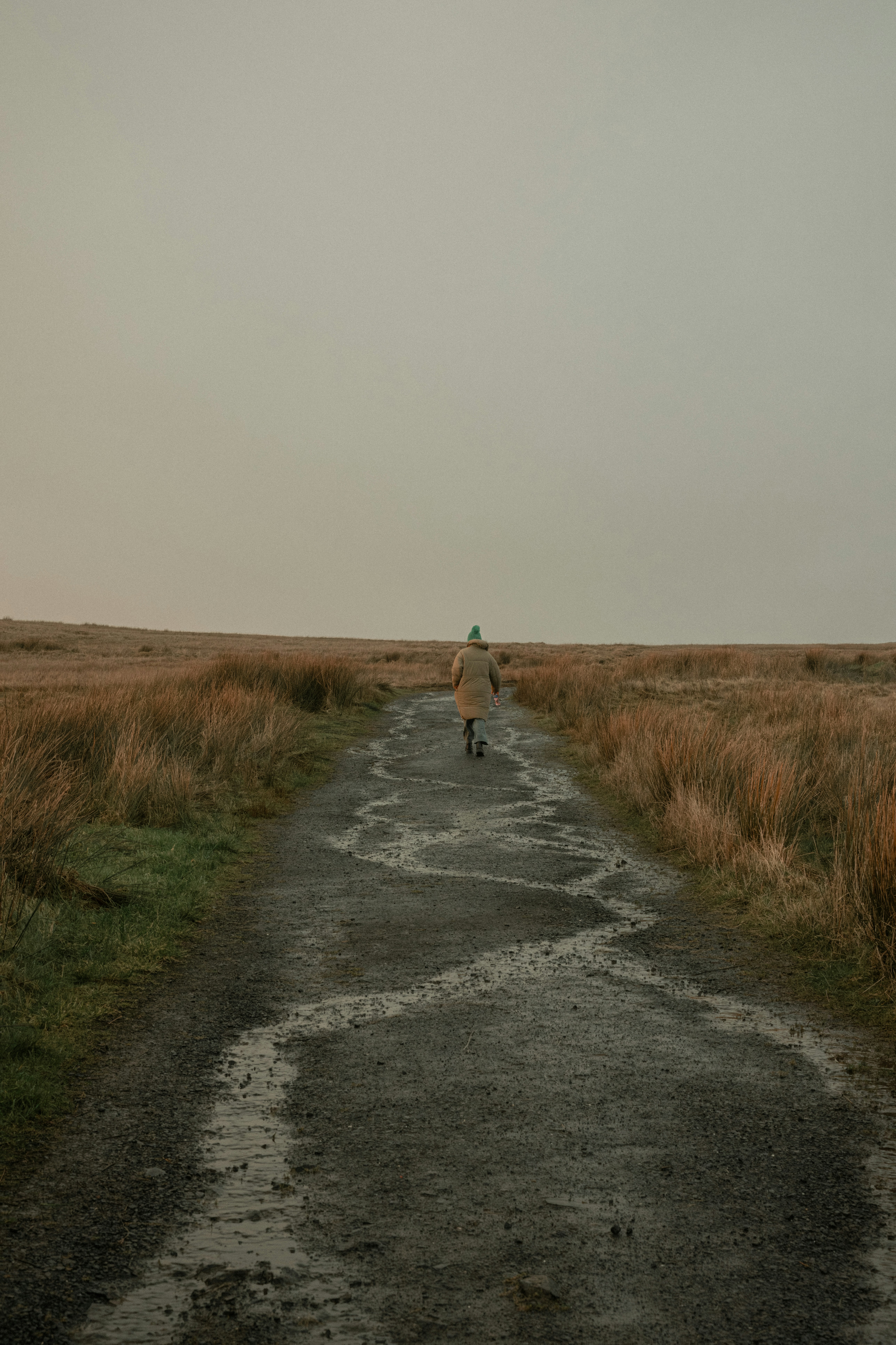 A Lone Walker on a Meandering Path Through Misty Grassland