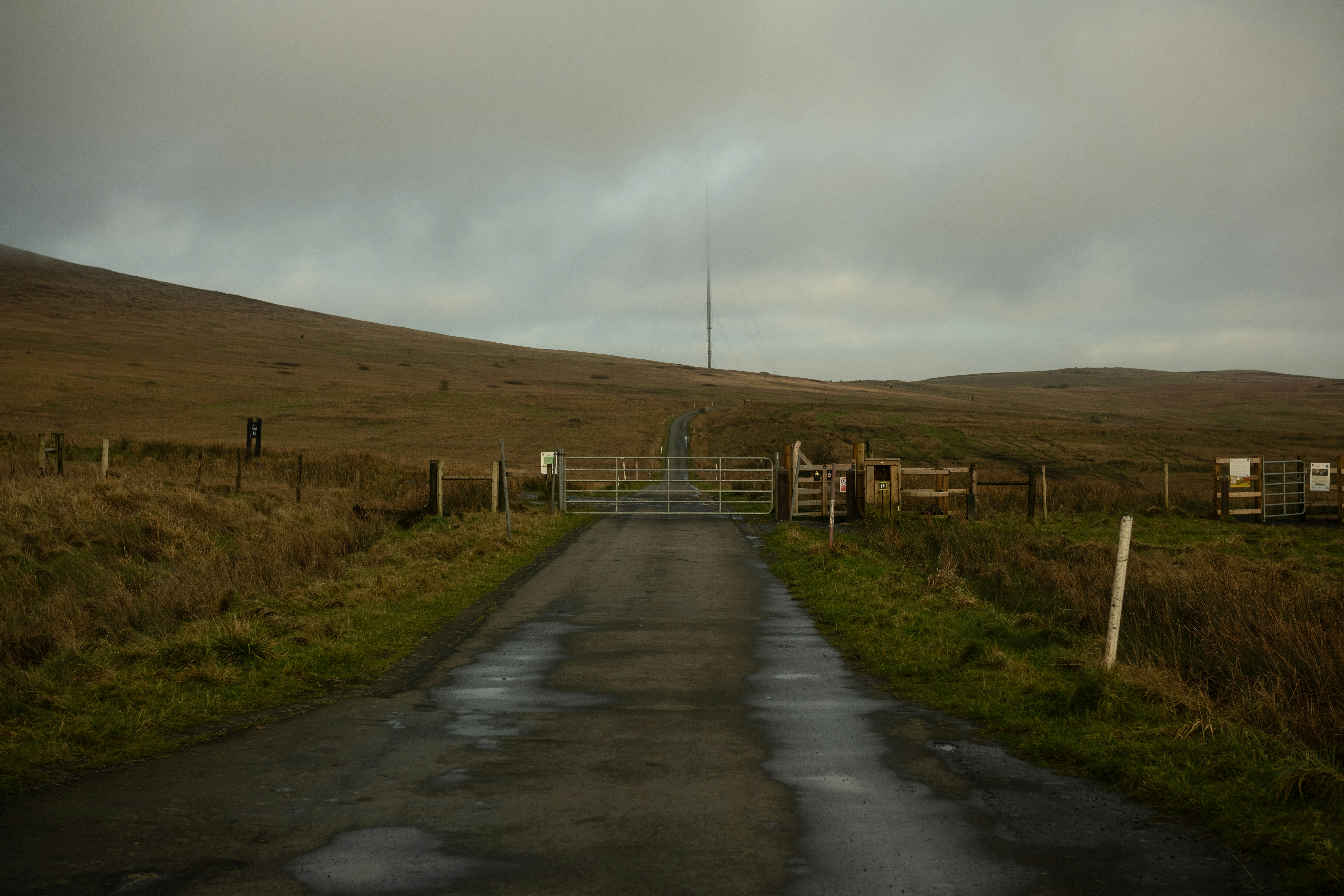 Long Road to the Gate: A Moorland Drive into the Distance