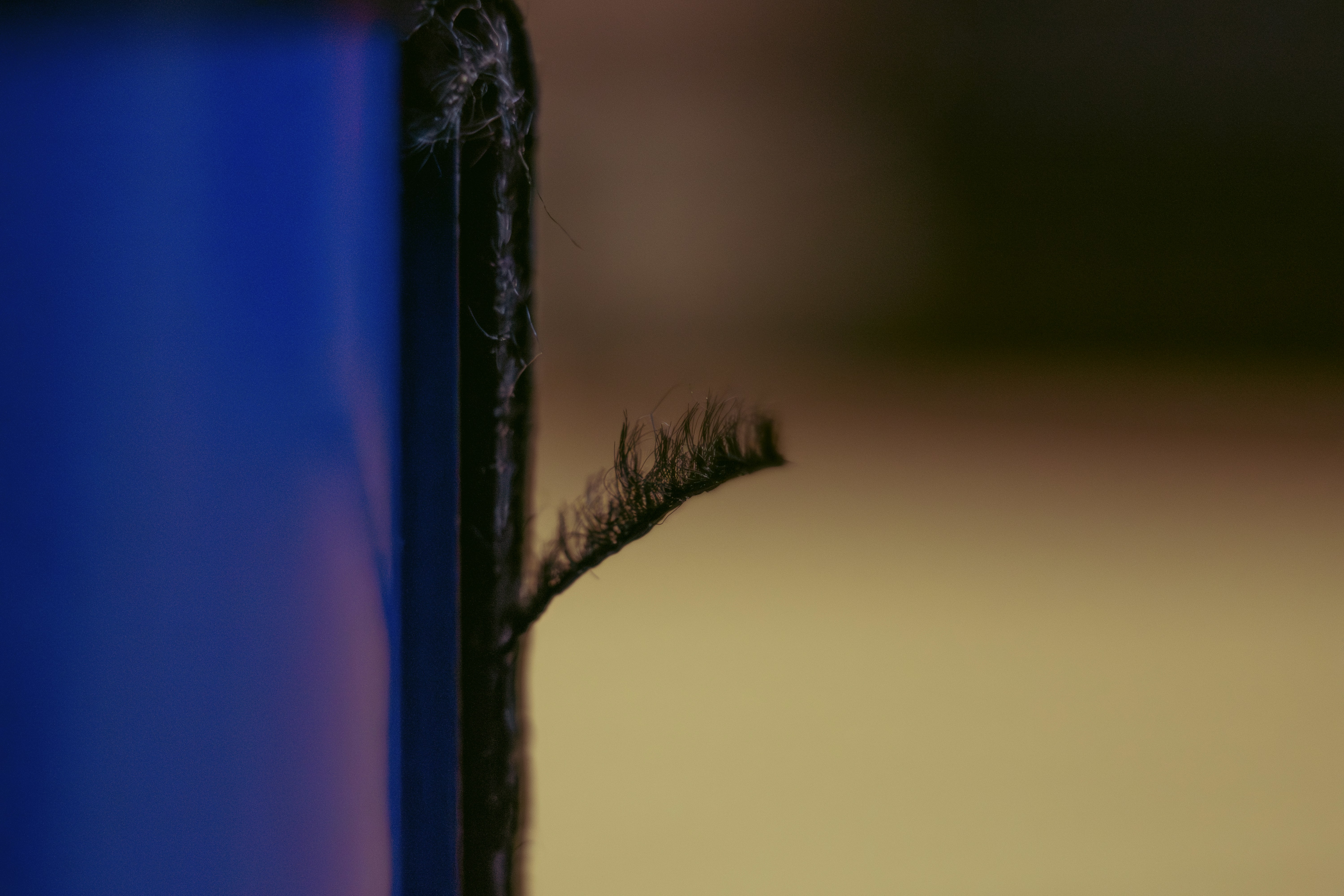 The Edge of Focus: A Single Eyelash on a Vibrant Blue Surface
