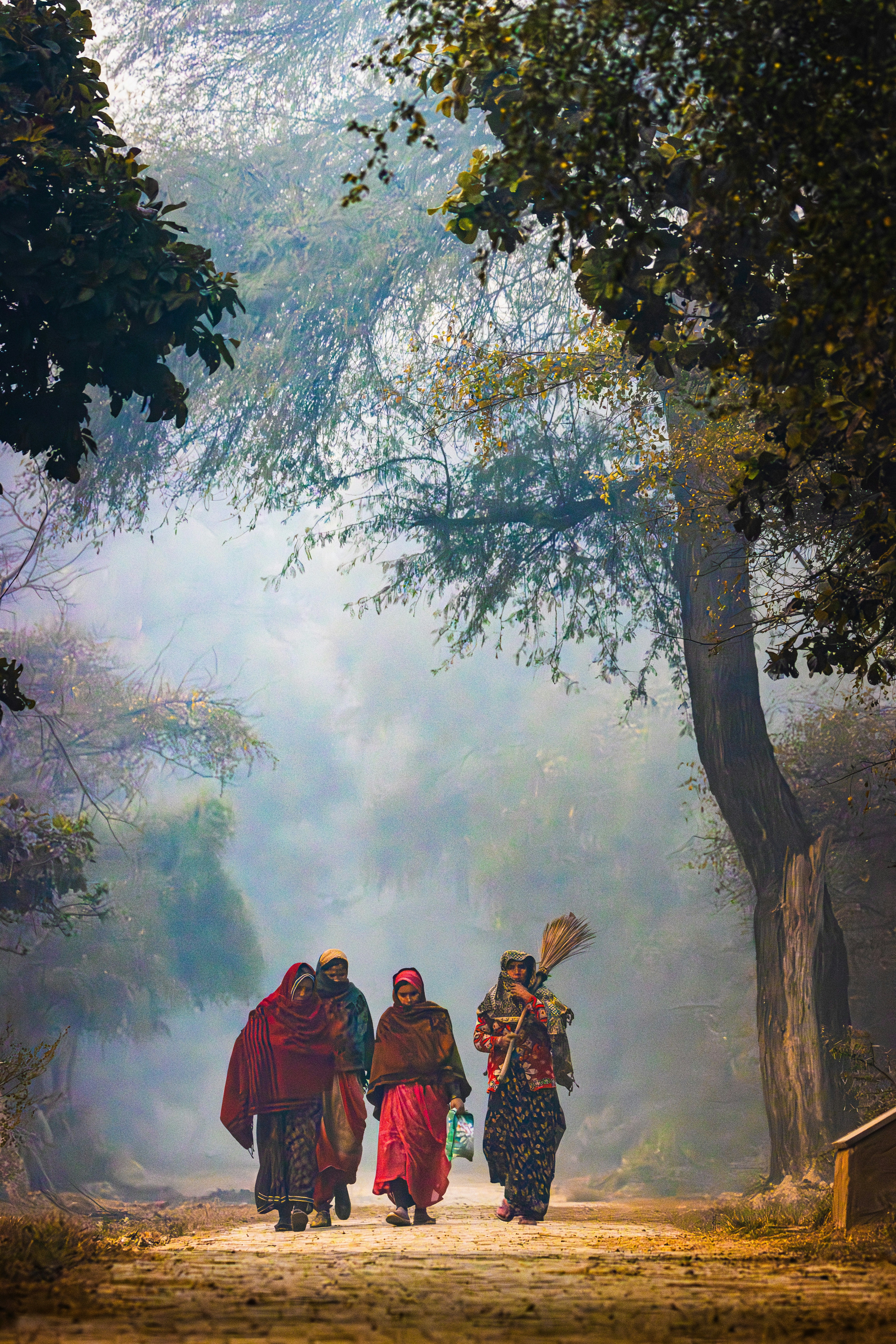 Marching Through Mist: A Gentle Procession Beneath Arcady Trees