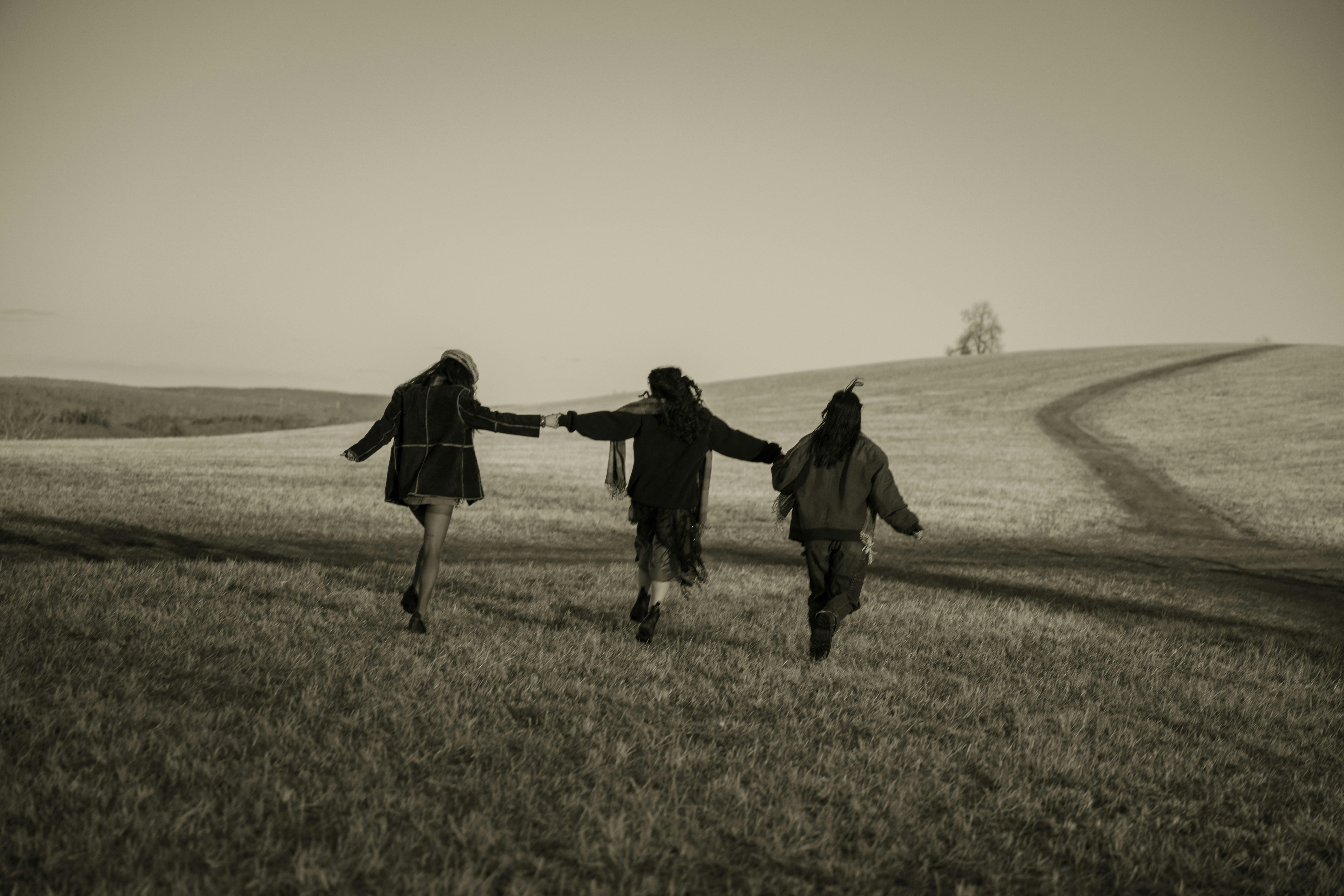 Three Friends in a Distant Field: A Silhouette Beginning a Shared Journey