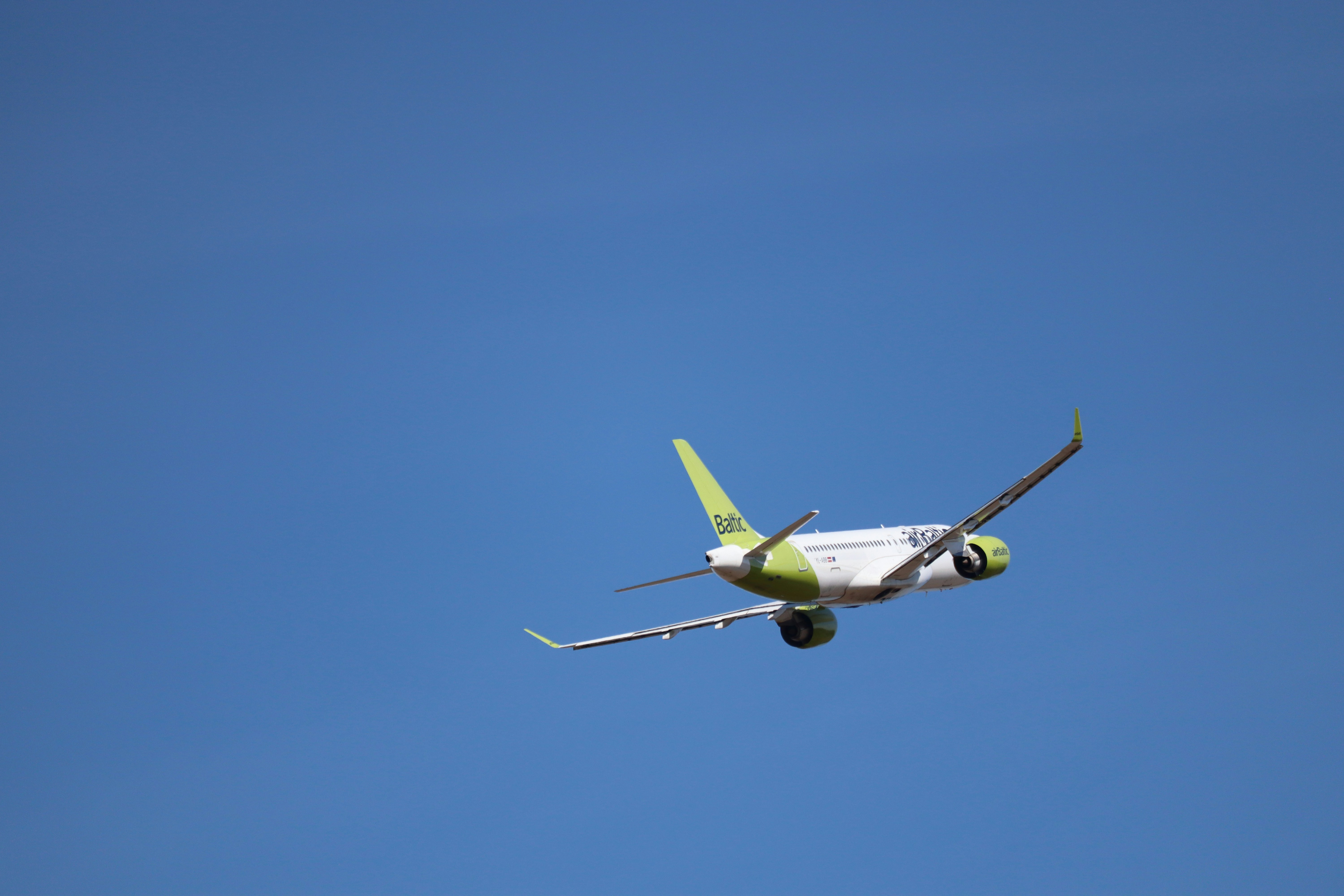Sleek, Lime-Tailed Glider in Clear Blue Skies