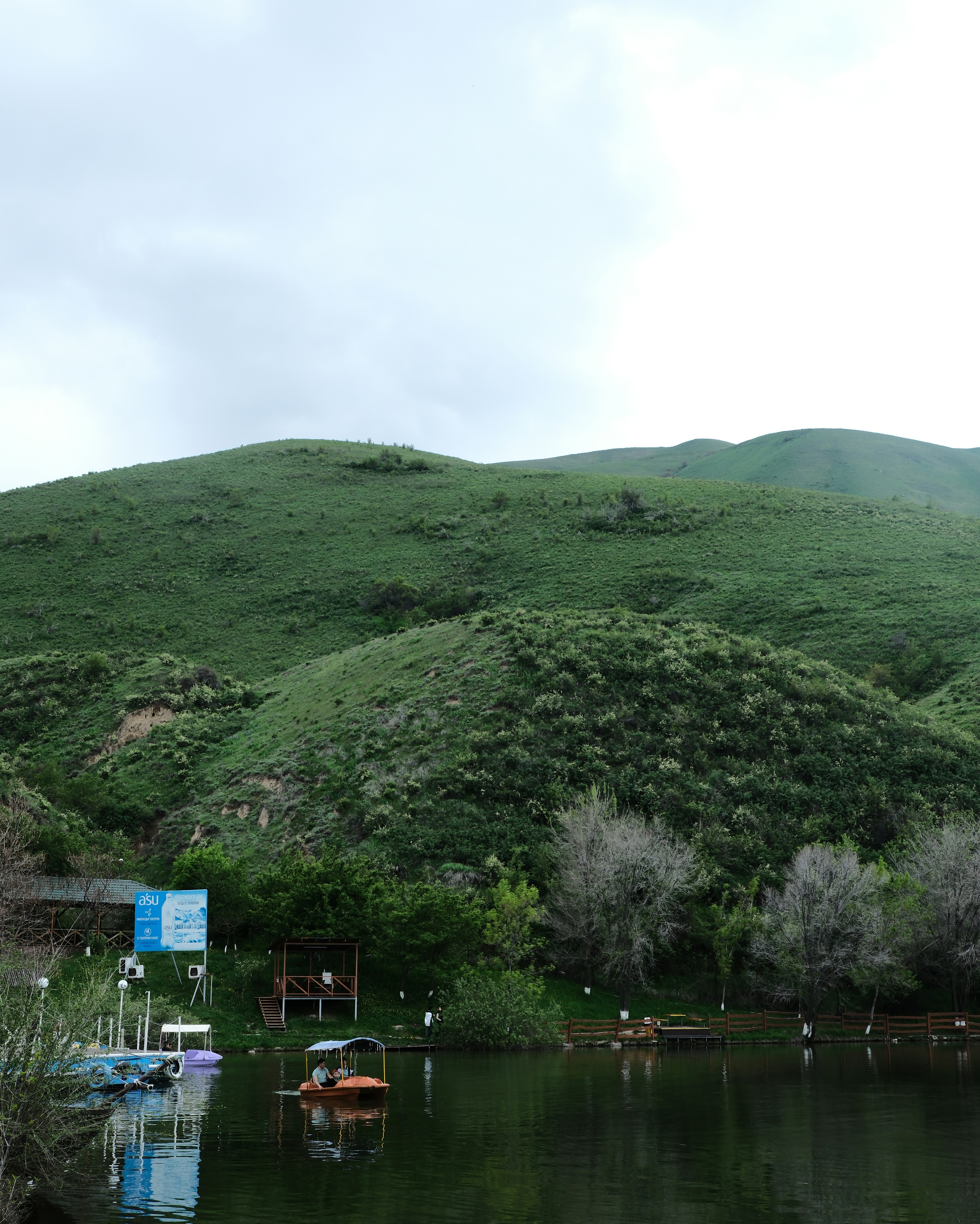 Green Hillline Overlooking the Quiet Lake