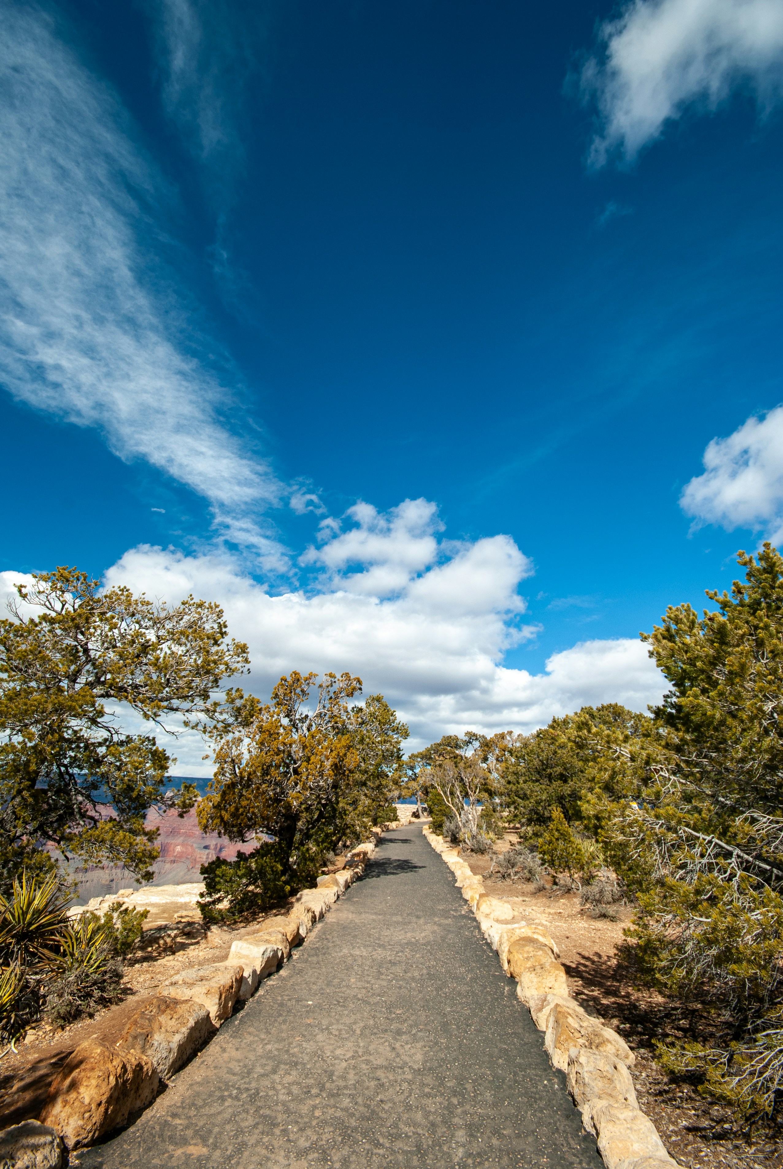 Desert Pathway Towards a Sky-Blue Horizon