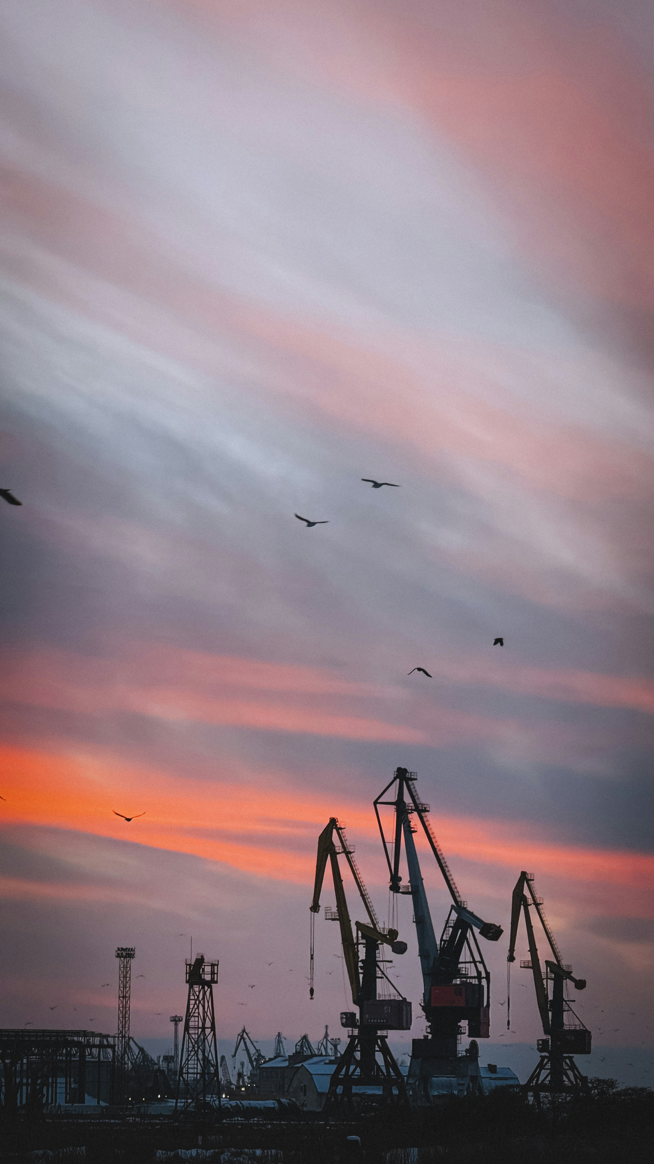 Harbor cranes silhouetted against a vibrant sunset sky. photo – Free ...