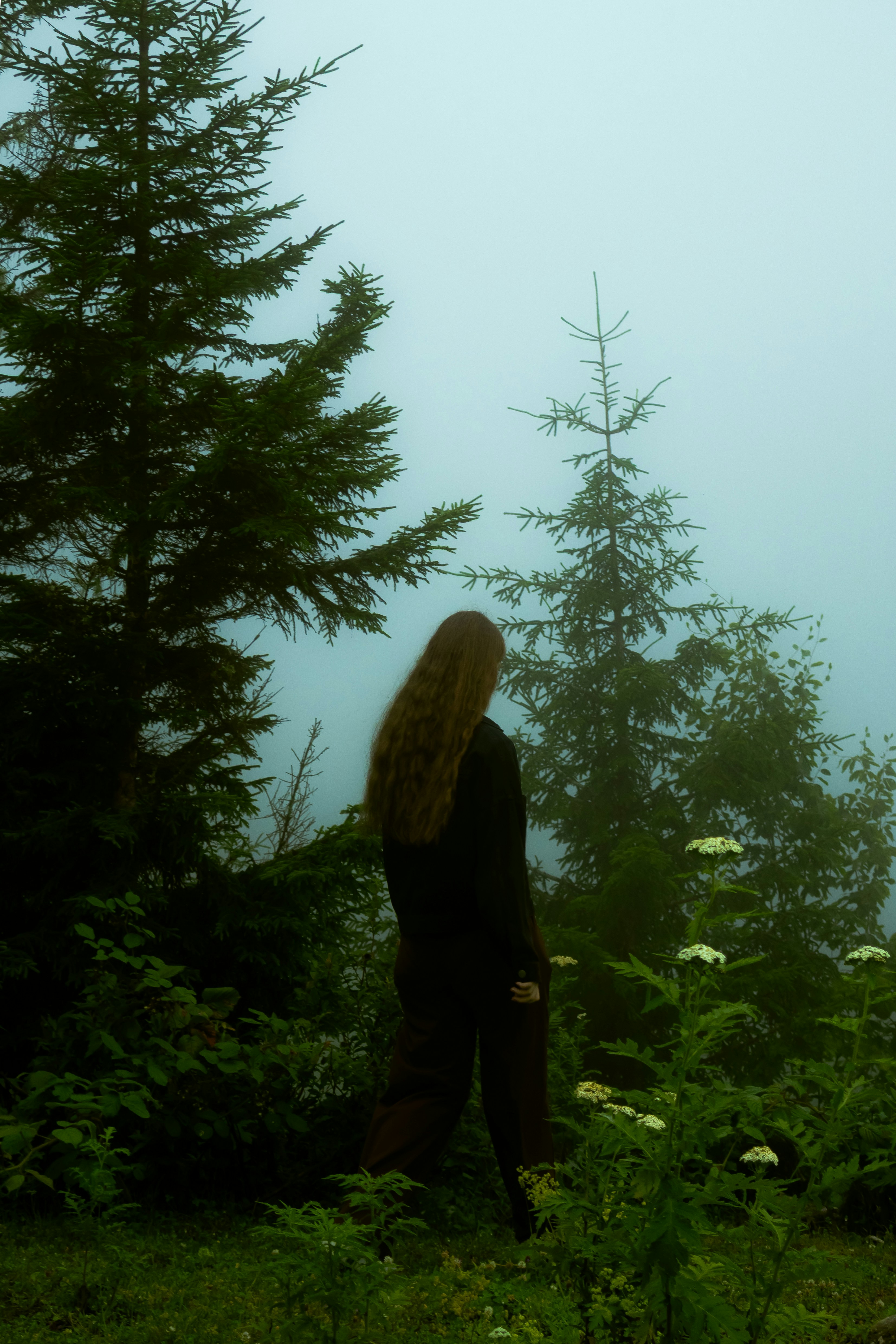 Mistbound Figure among Evergreen Sentinels