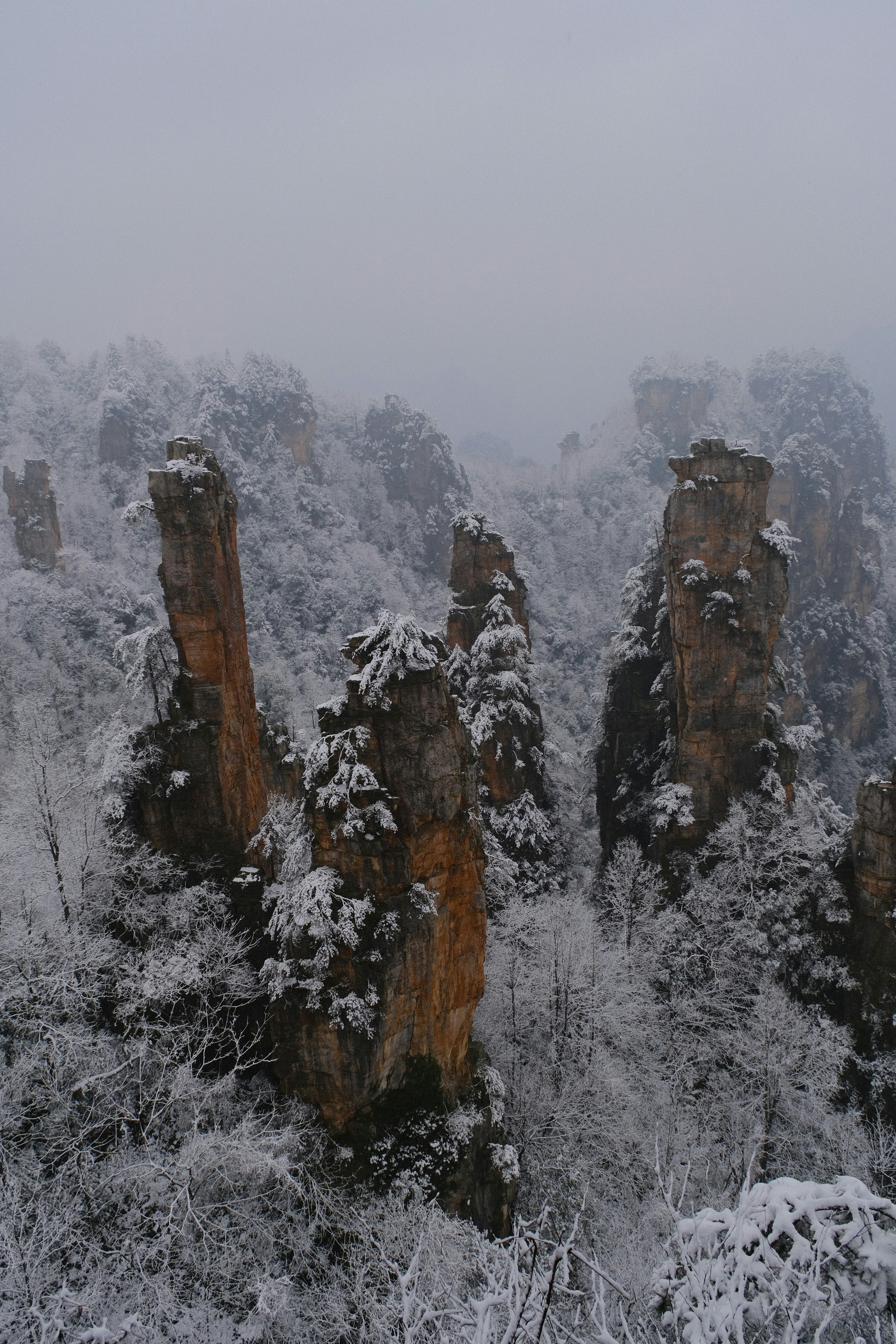 Winter Sentinels: Snow-Crowned Pillars Rising Through the Frost