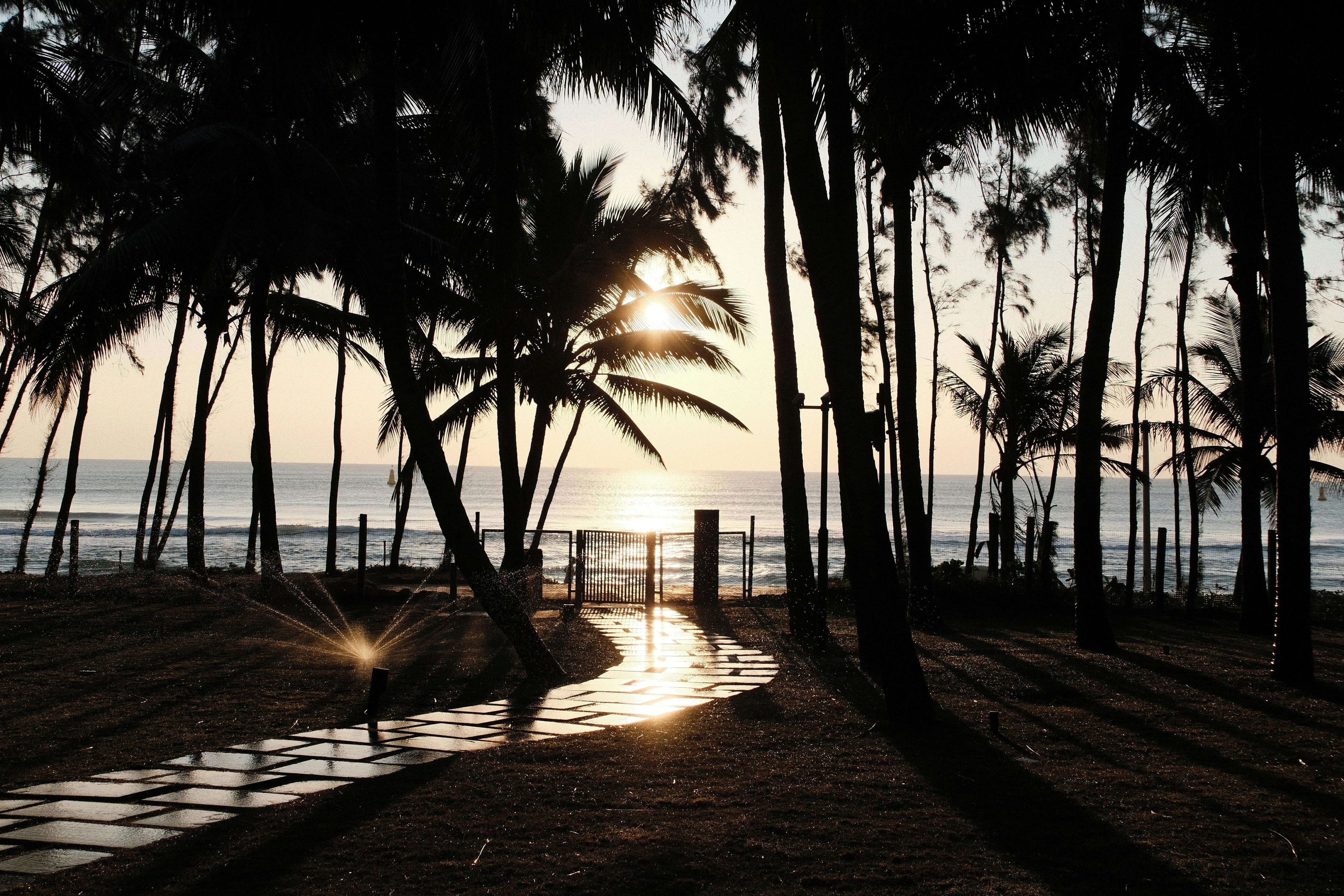 Silhouette of palm trees Mark the Sunset Shore