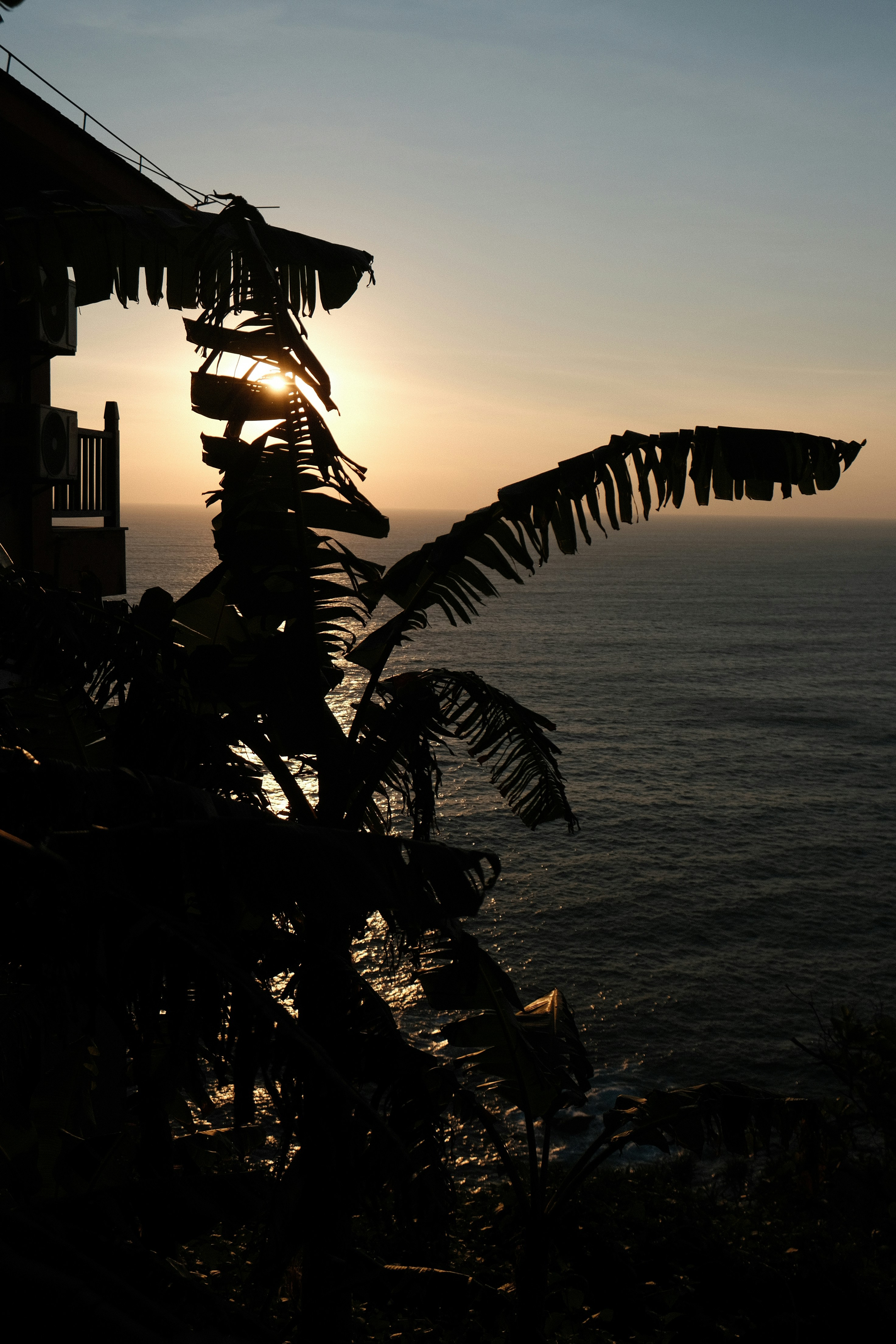 Sunset silhouette over the sea framed by tropical leaves