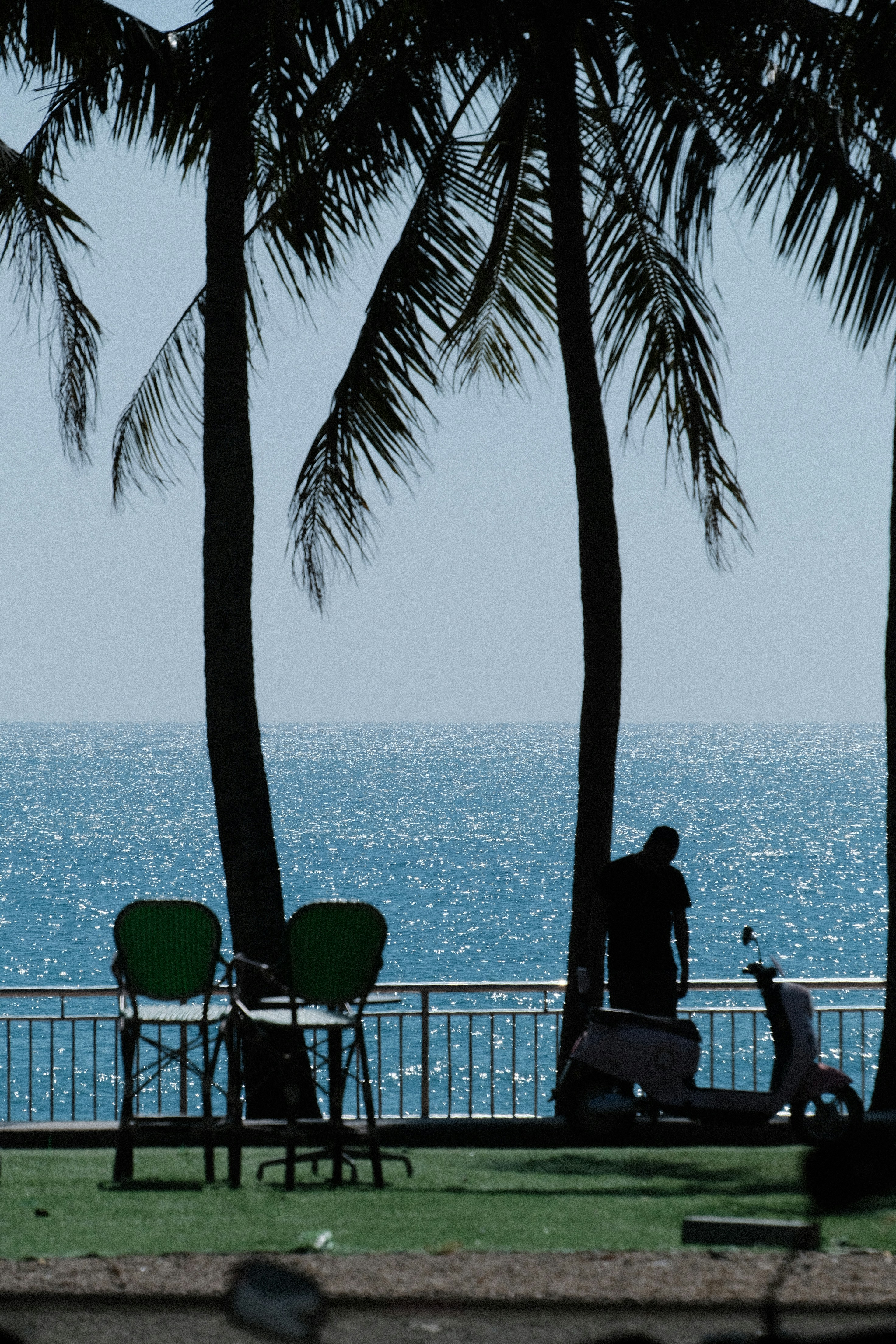 Silhouette at the Seafront: Palm Shadows Over a Quiet Bay