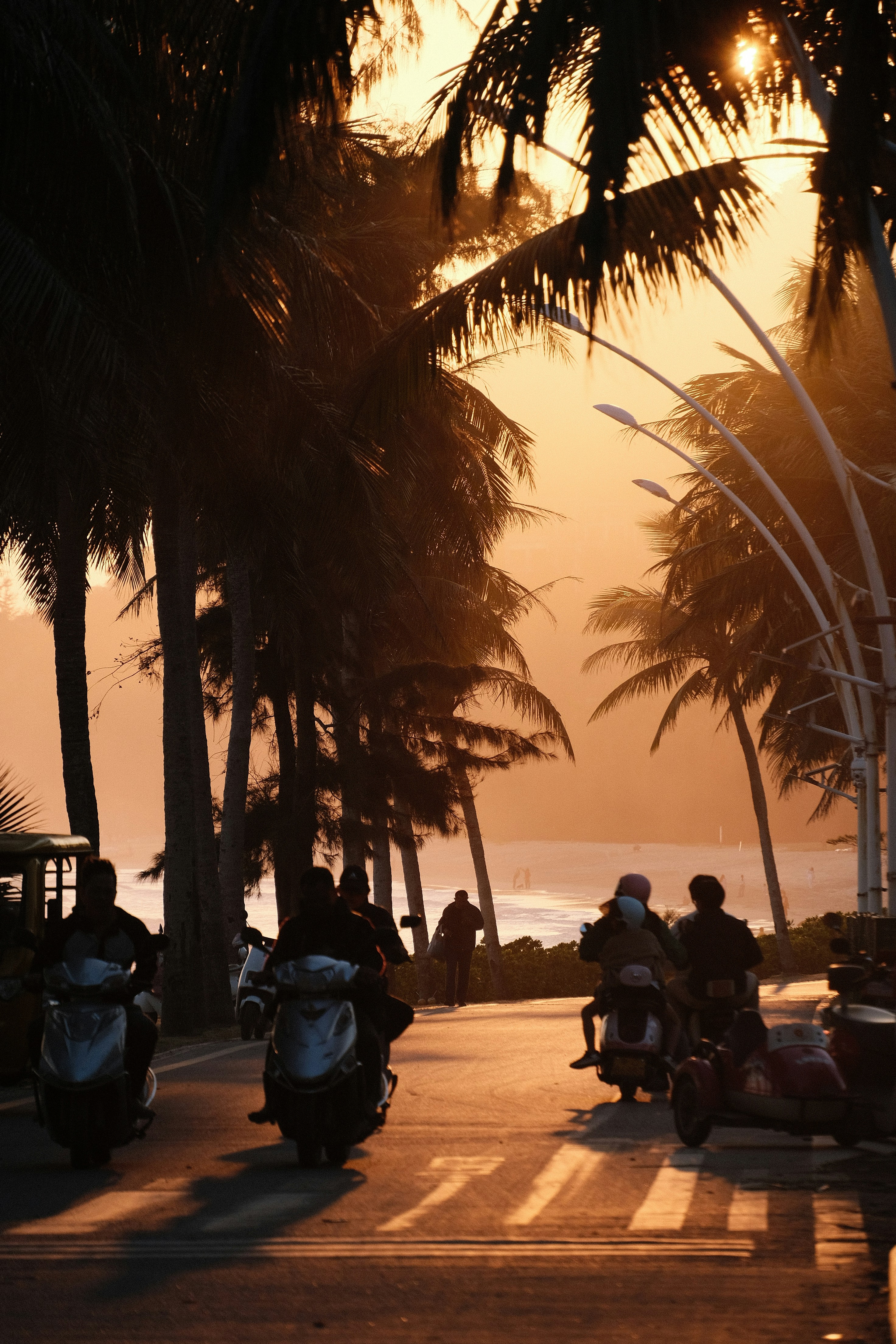 Sunlit promenade: palm silhouettes and scooters at golden hour