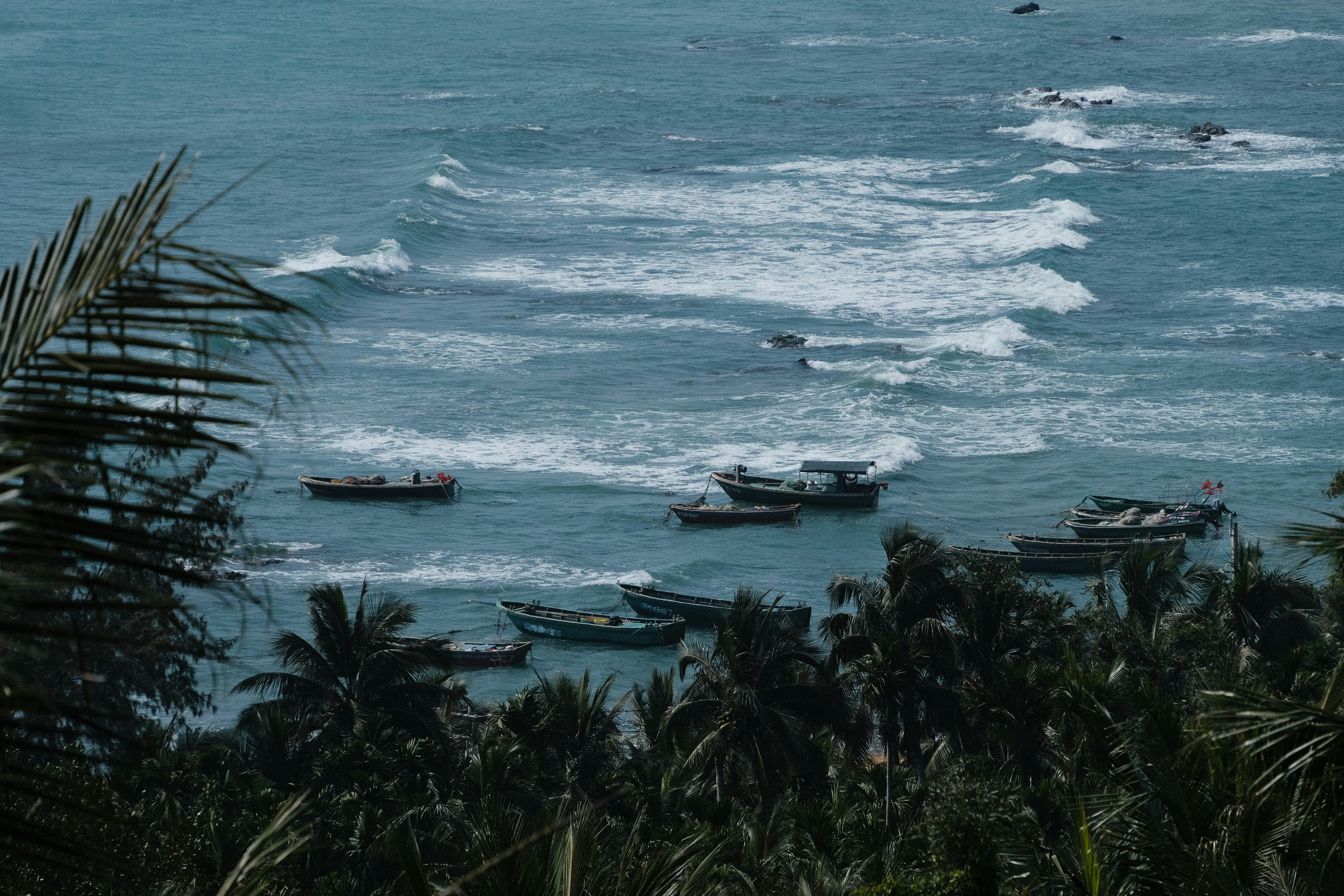 Boats at Rest Beneath a Palmy Canopy