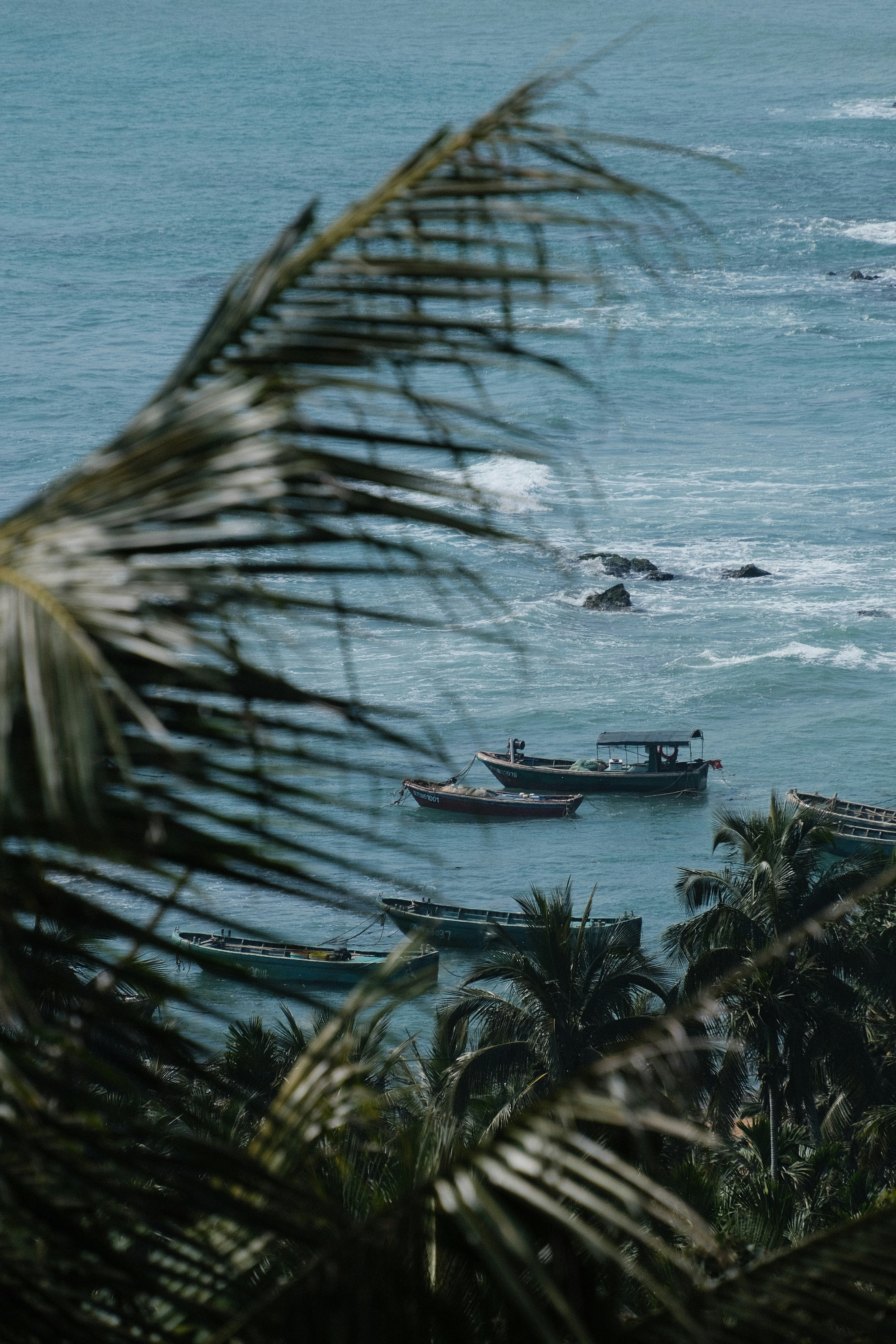 Palm-fringed cove with anchored boats peeking through a veiled foreground