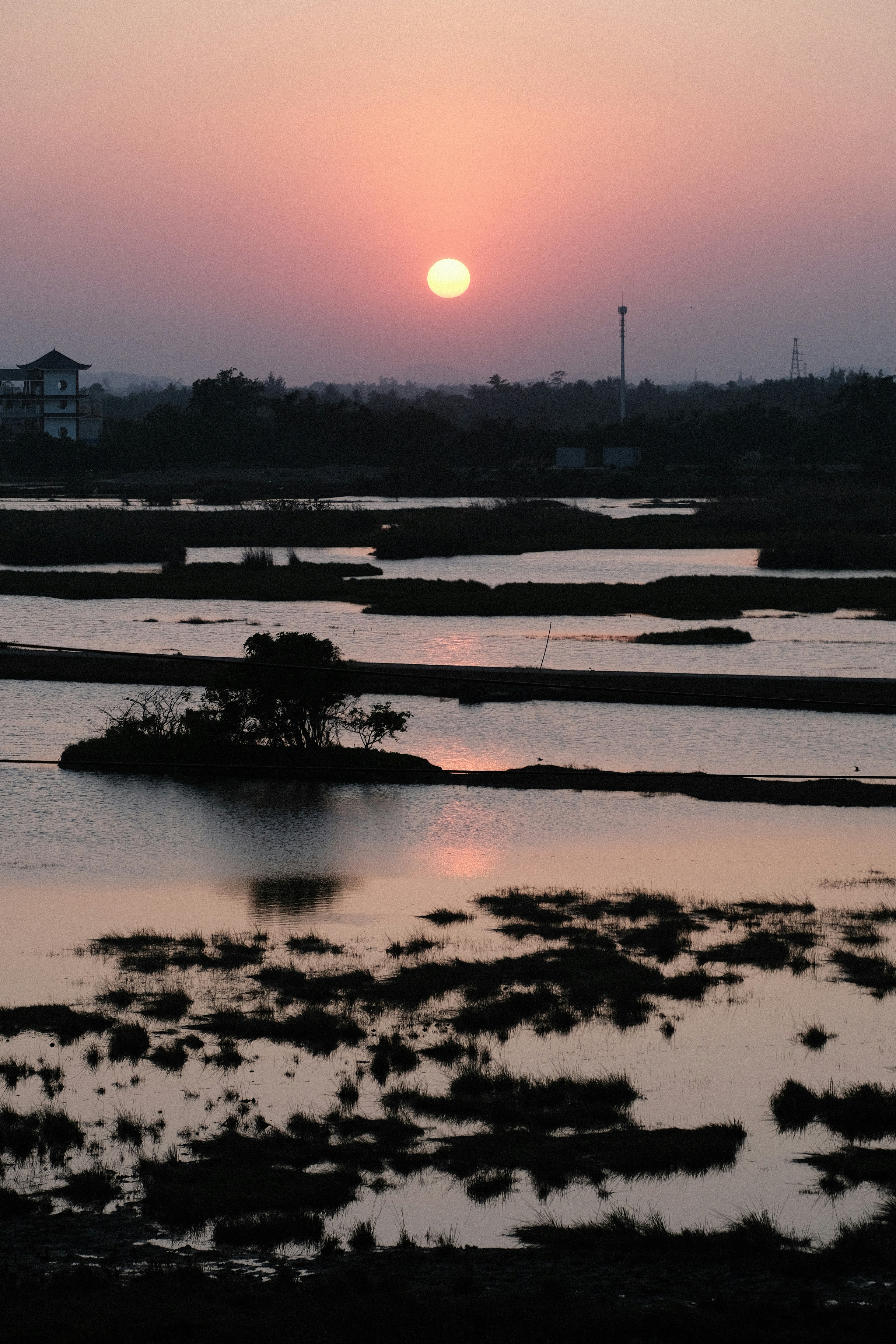 Horizon of Quiet Light: Sunset Over Serene Wetlands