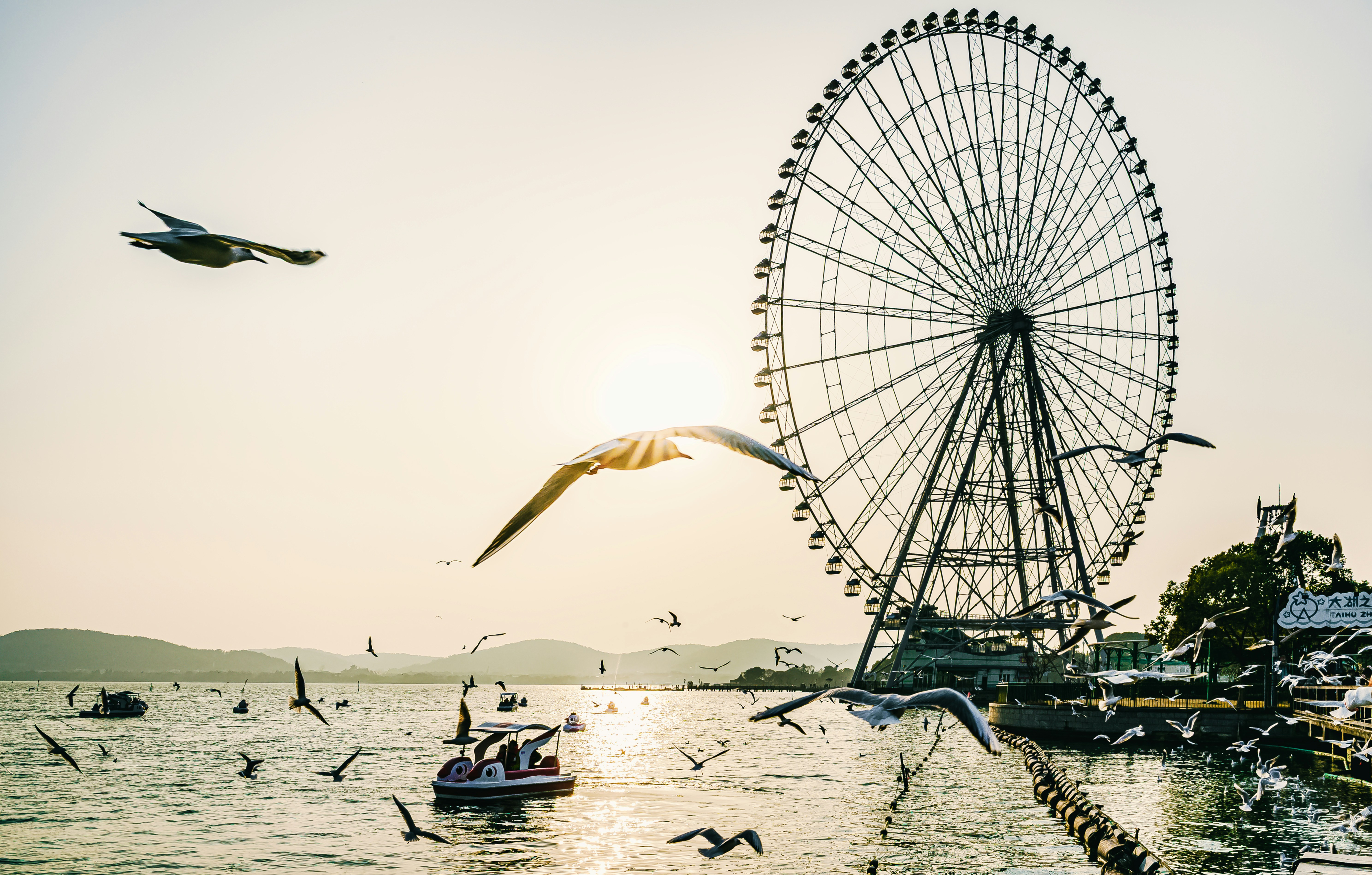 Gulls Over the Pier: a Sunlit Seafront with a Then-Iconic Ferris Wheel