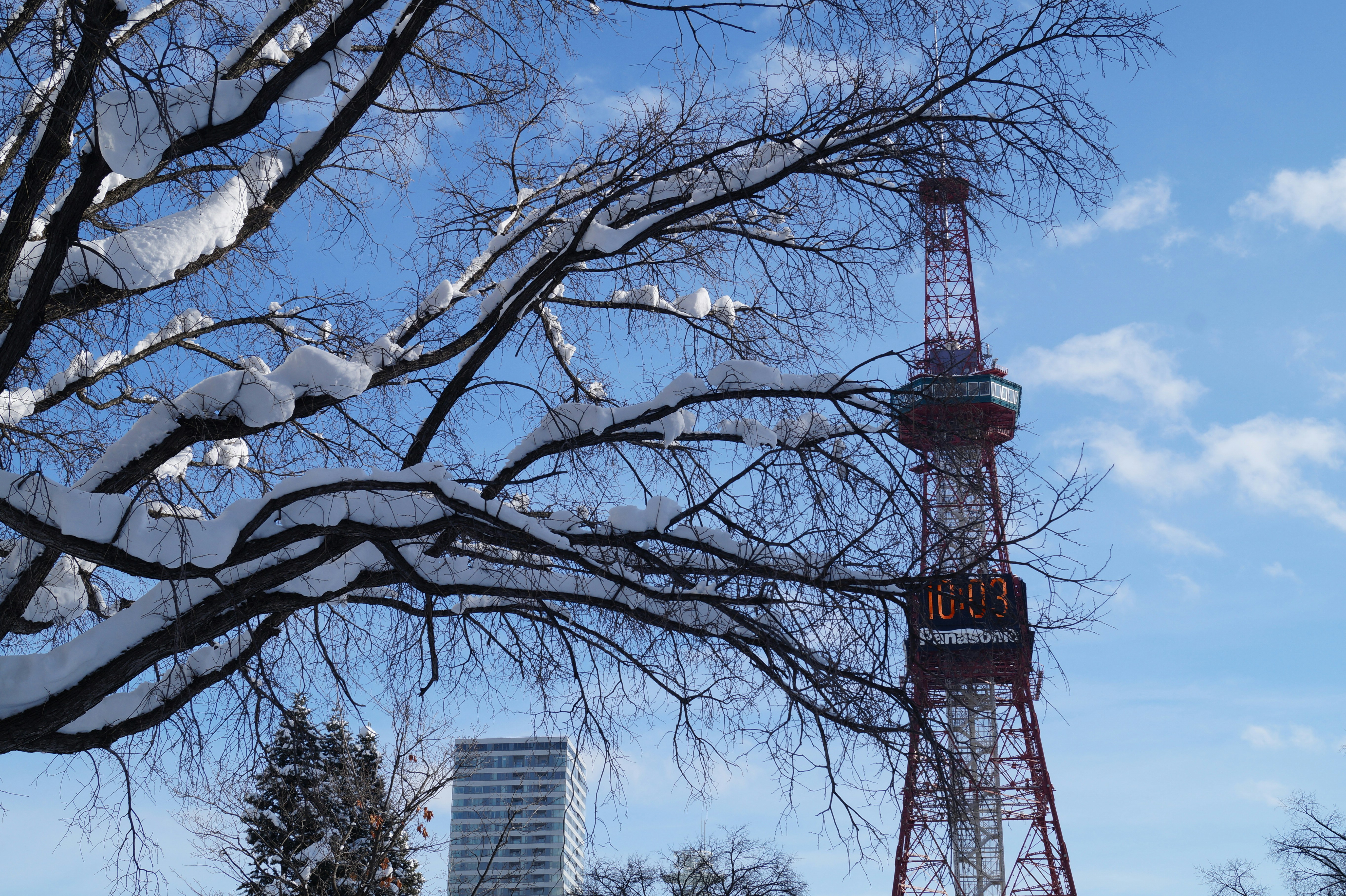 Towering Signal in a Snowy Afternoon