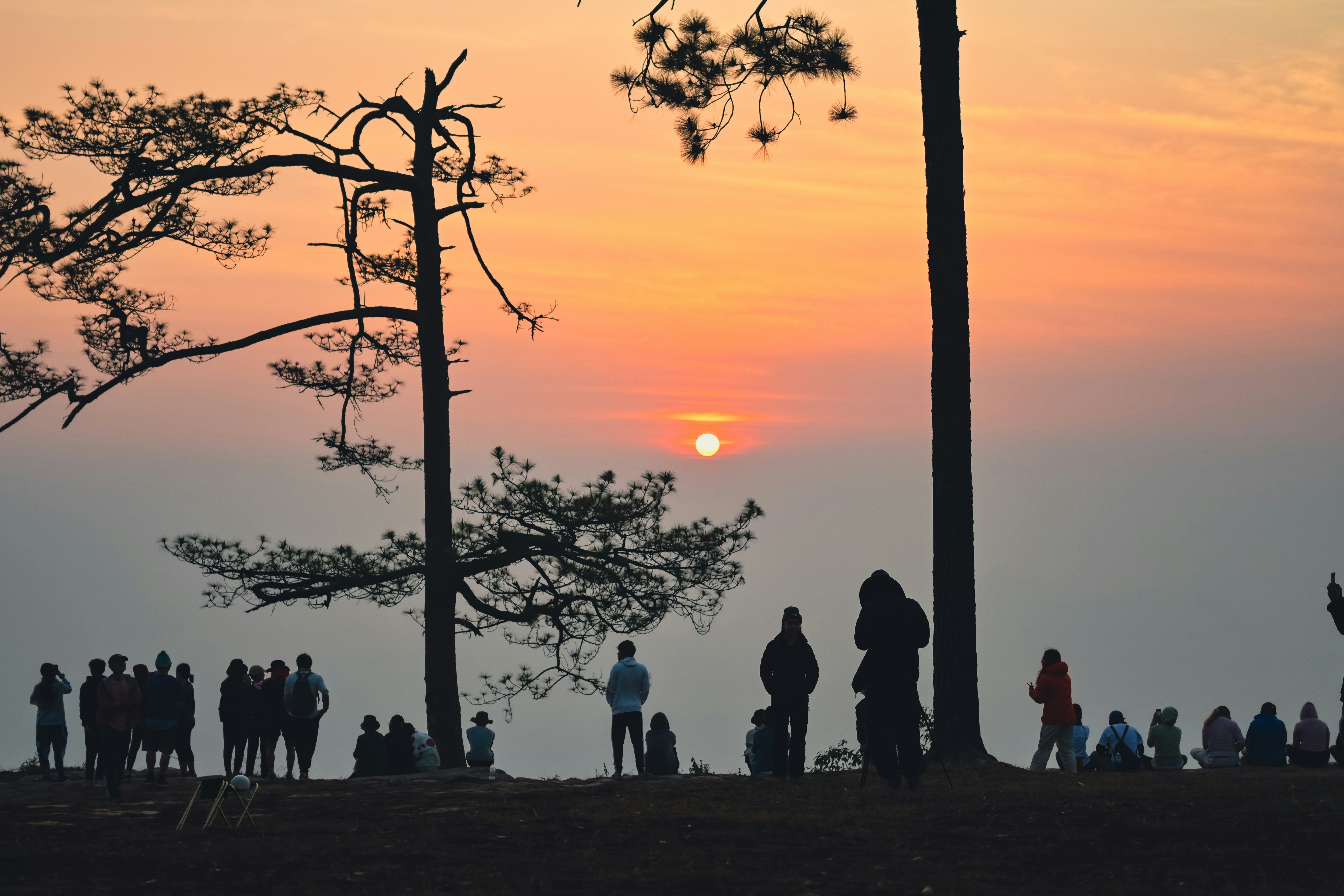 Sunset silhouettes along a cliff overlook