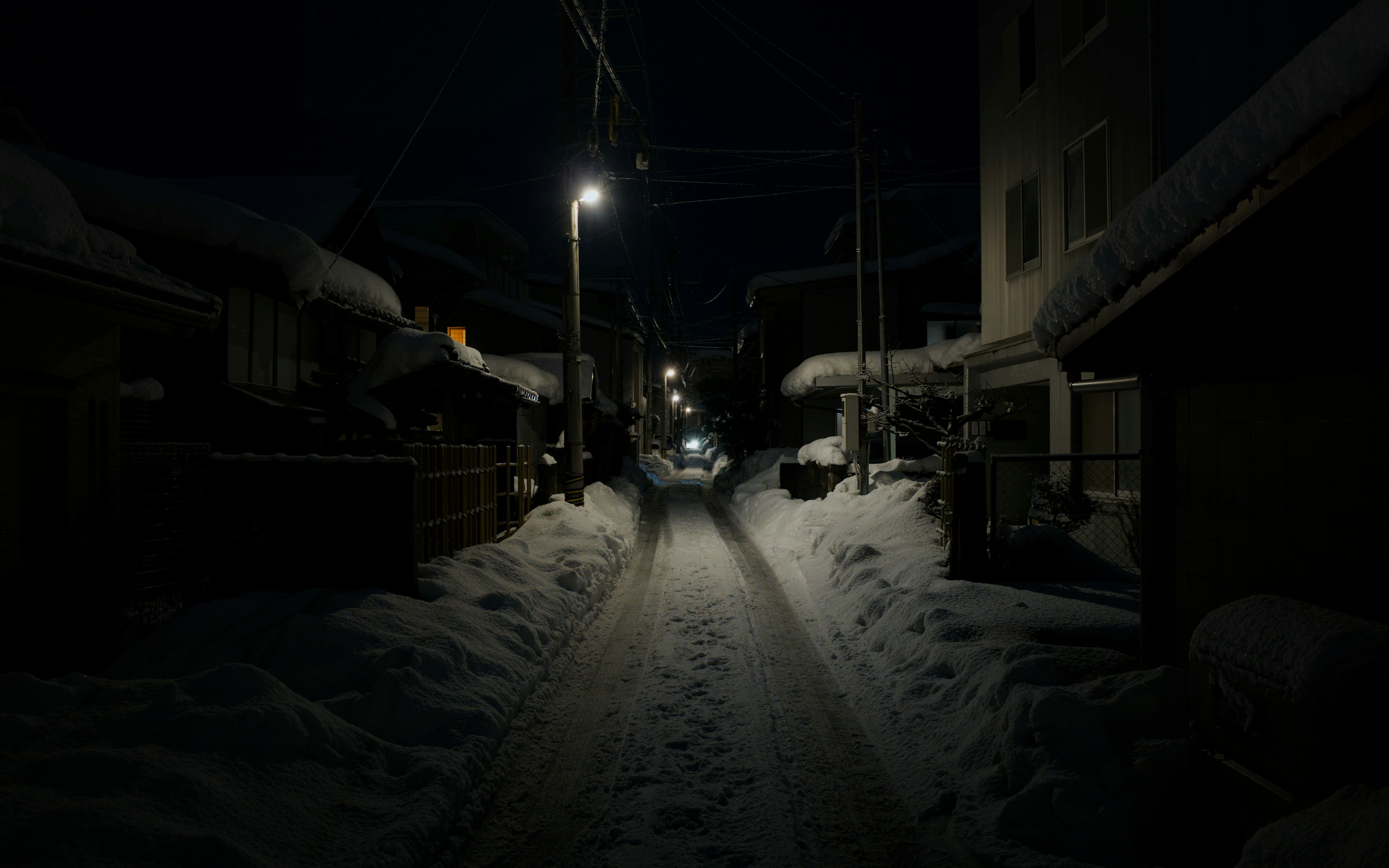 Winter Alley Convergence under Neon Streetlight