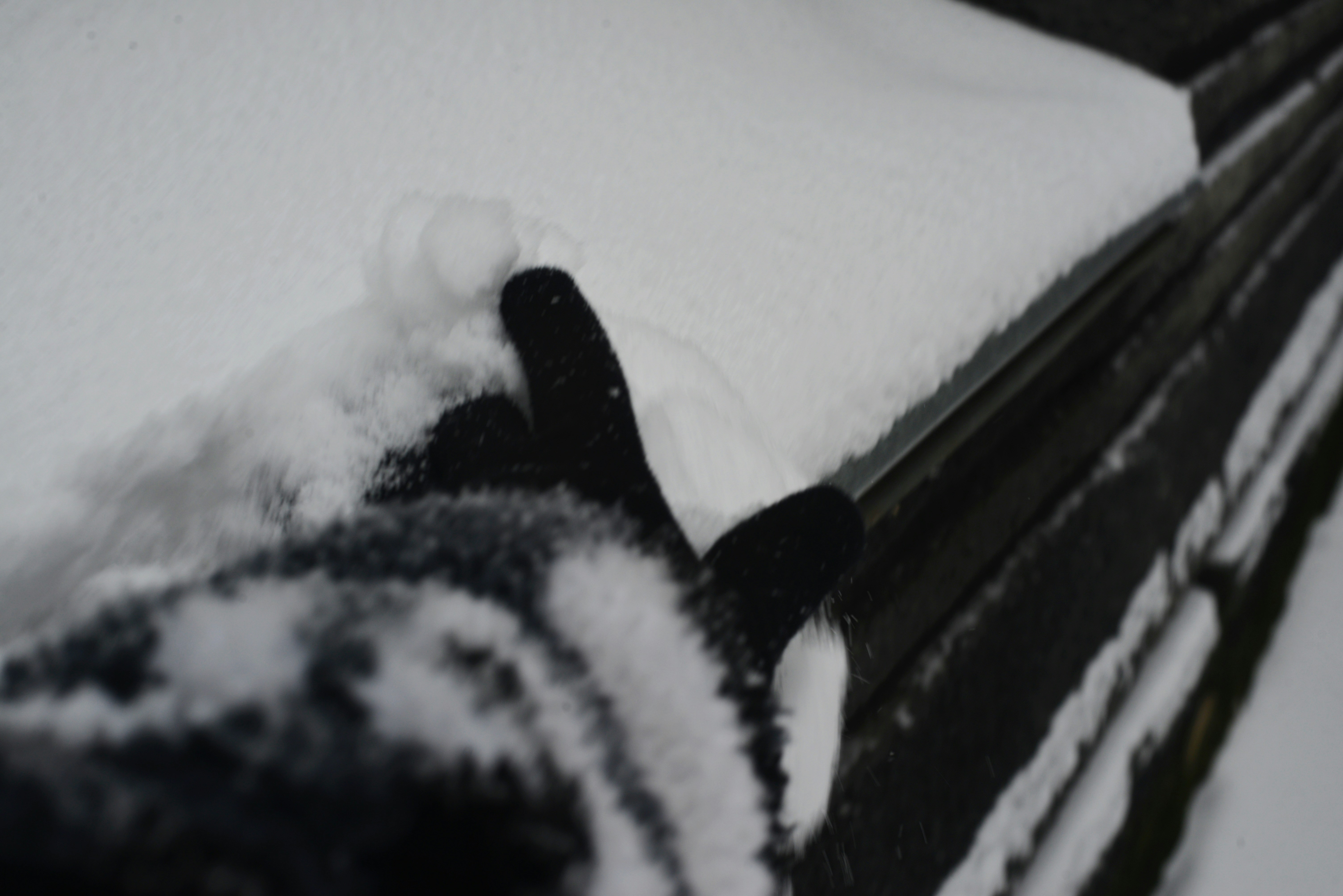 Winter Glove Pause: Snow-Covered Glove Resting on Window Edge