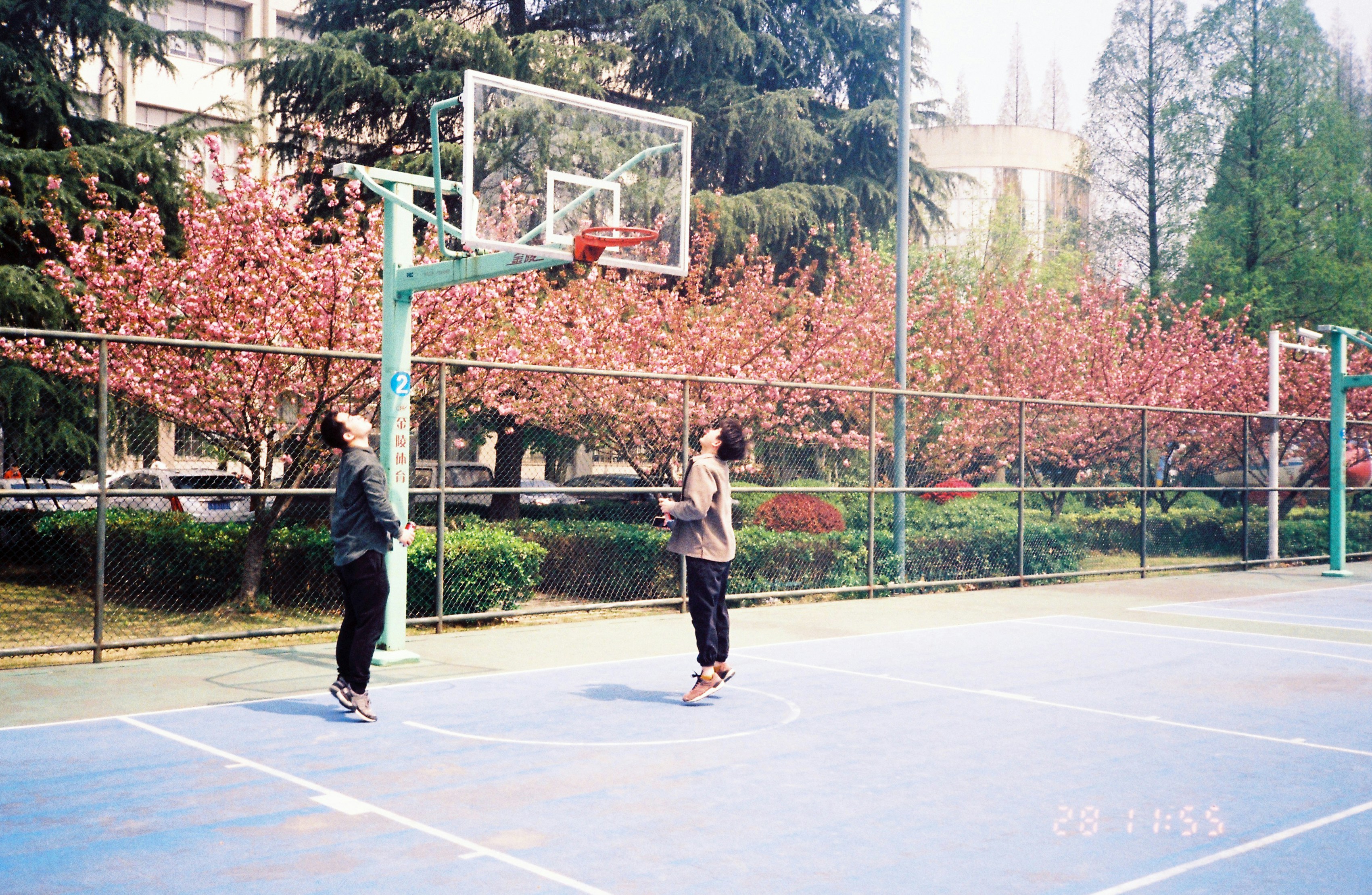 Basketball Court Echoes: Two Players in a Quiet Urban Afternoon