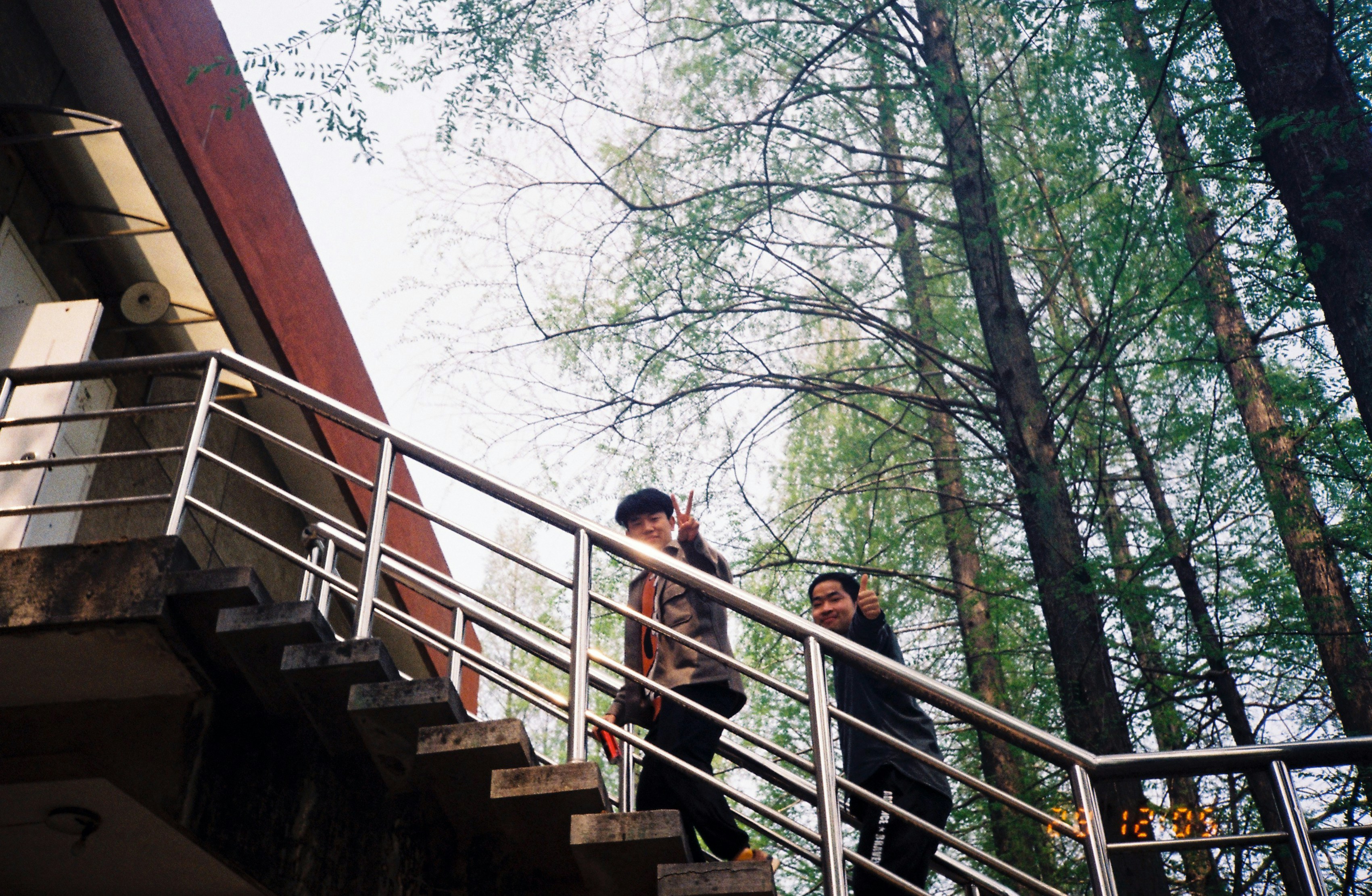 Two Friends on a Staircase Bridge Beneath a Forest Canopy