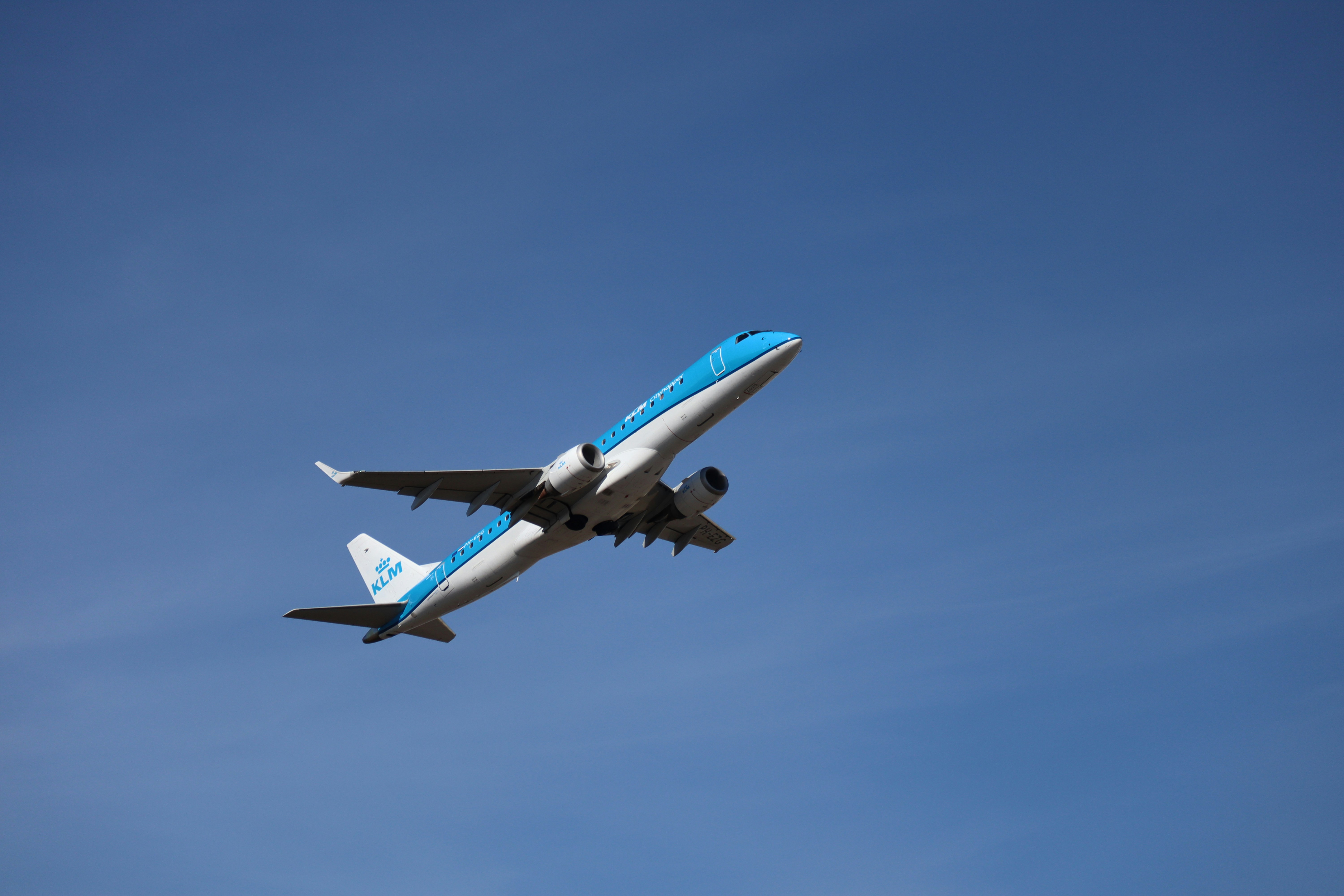 Blue-Logo Skyliner Climbing Through Clear Day